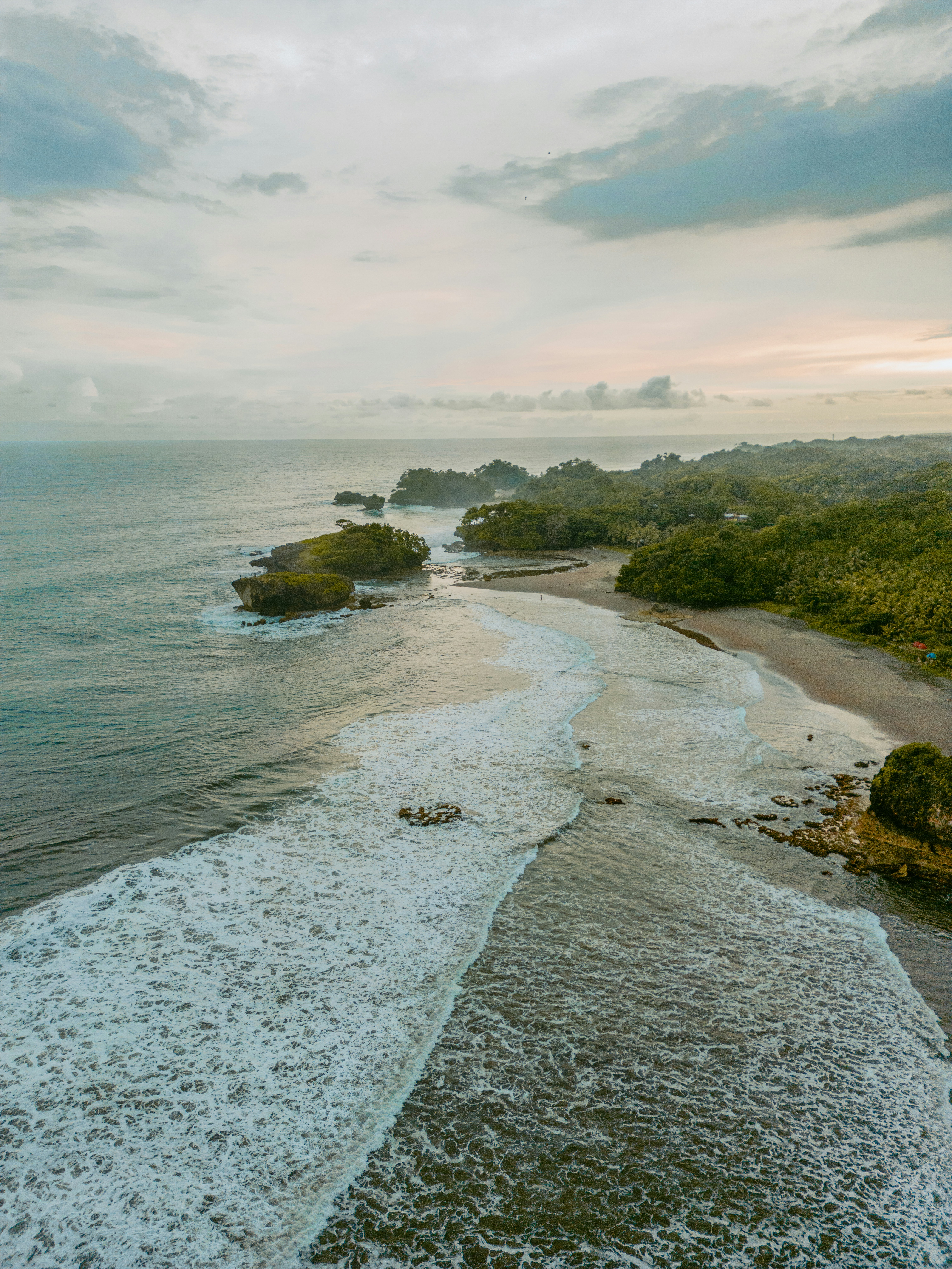 Aerial view of a windswept shoreline where waves meet a sandy beach bordered by lush green vegetation under a pastel sky. A drone captures the coast, cliff offshoots, and misty horizon, highlighting the contrast between sea, sand, and foliage.