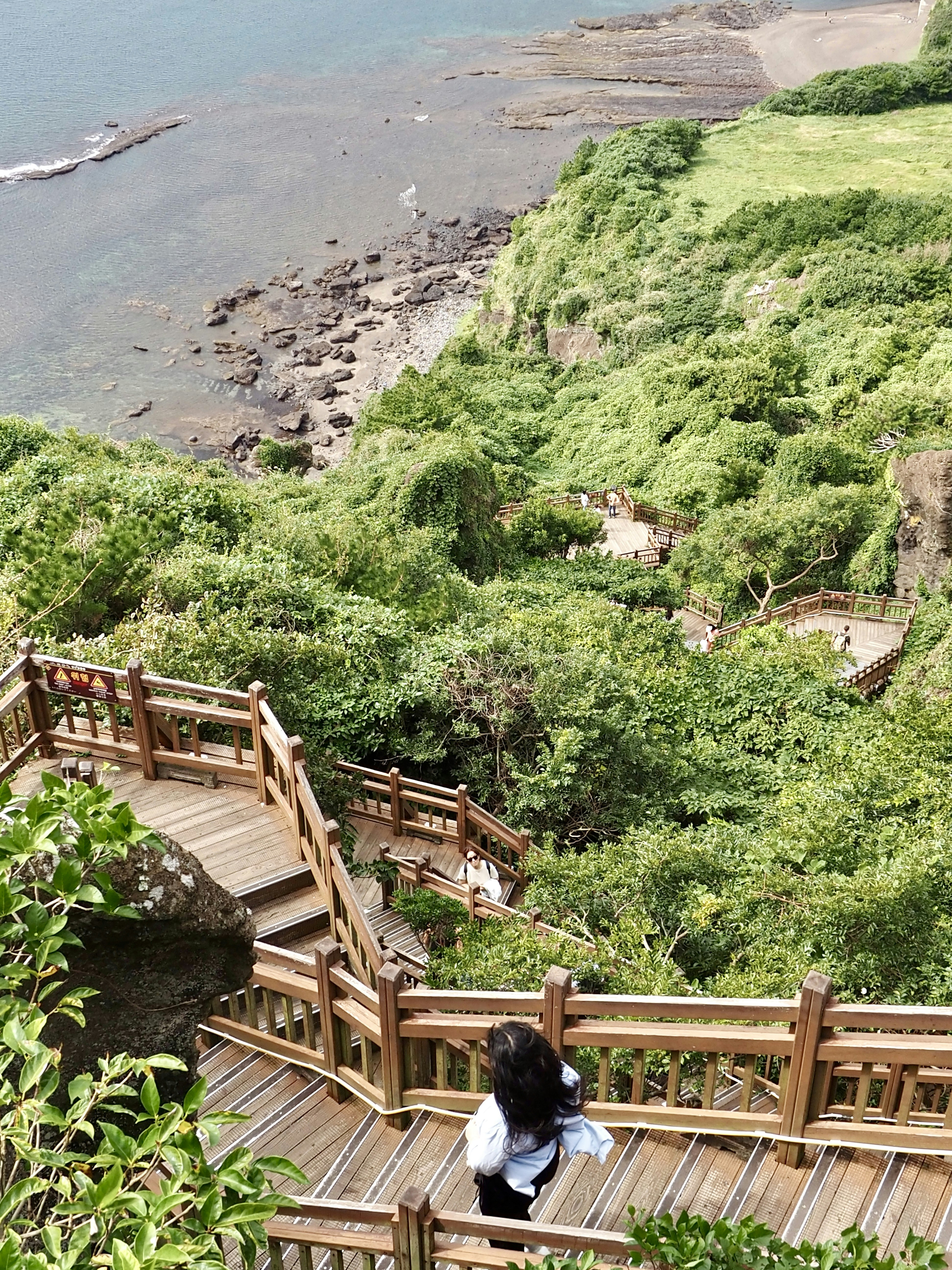 Wooden Streamlined Staircase Amid Green Cliffs Overlooking the Sea