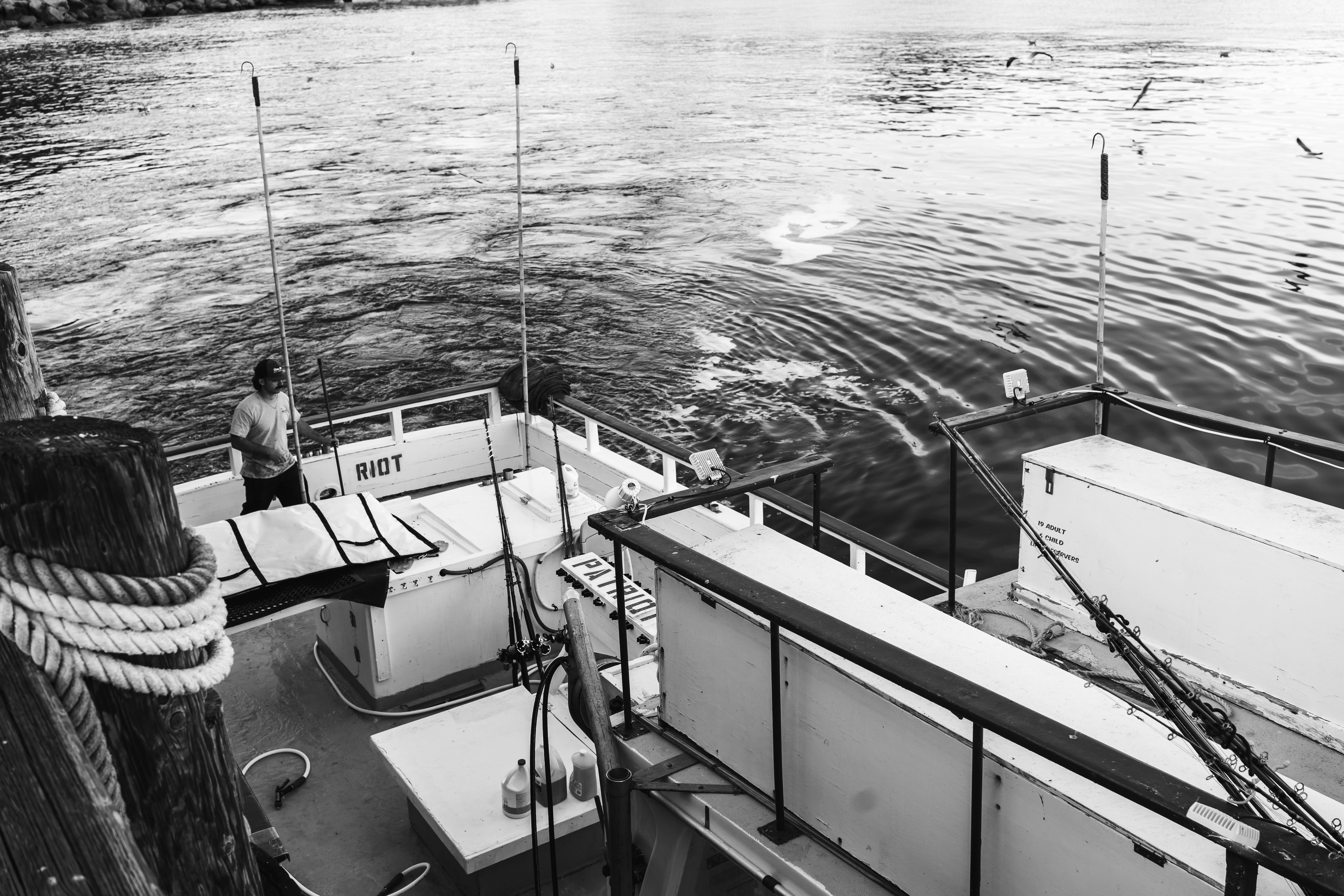Harbor Docks in Quiet Black-and-White