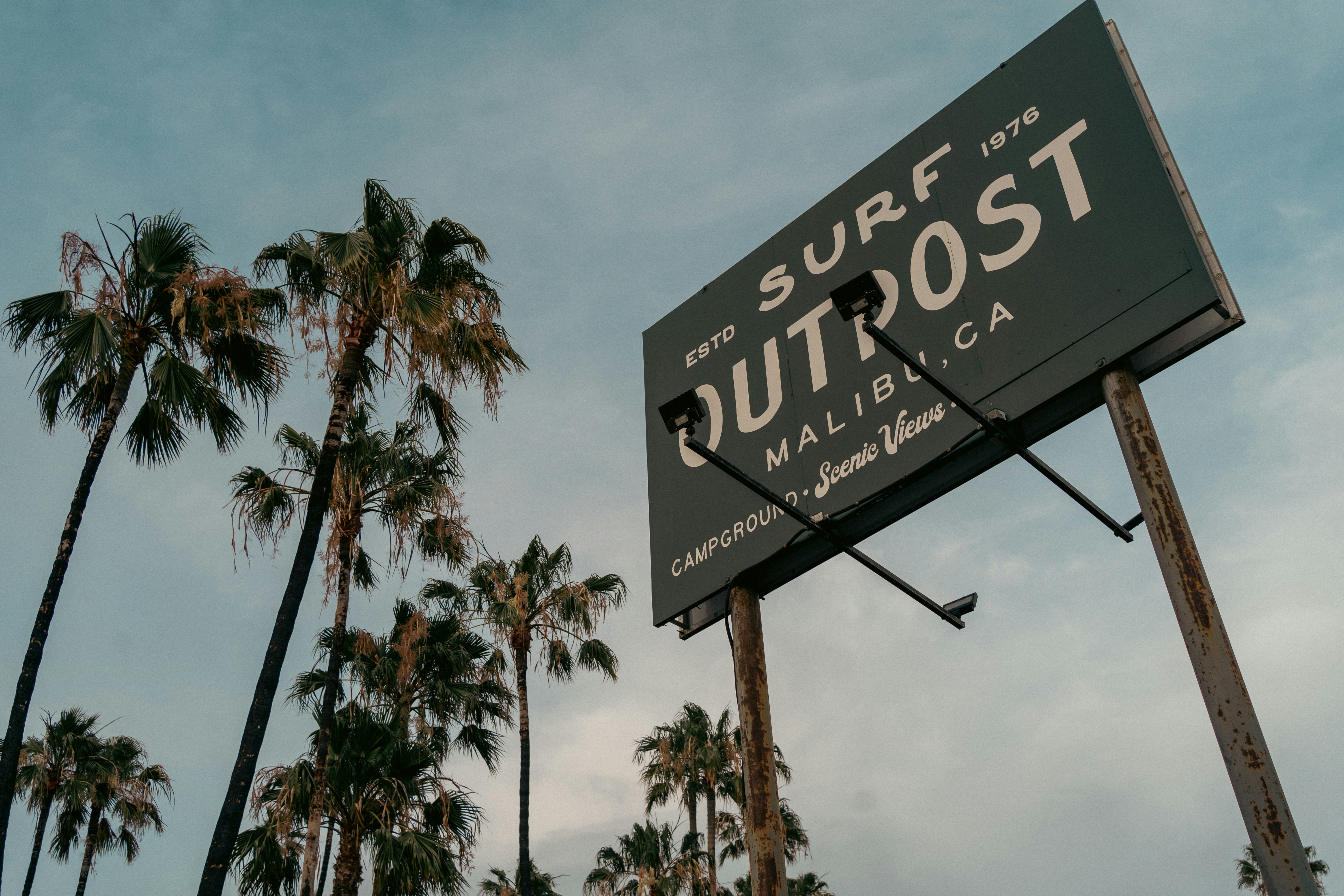 Deserted Billboard Over Palm Trees at Dusk