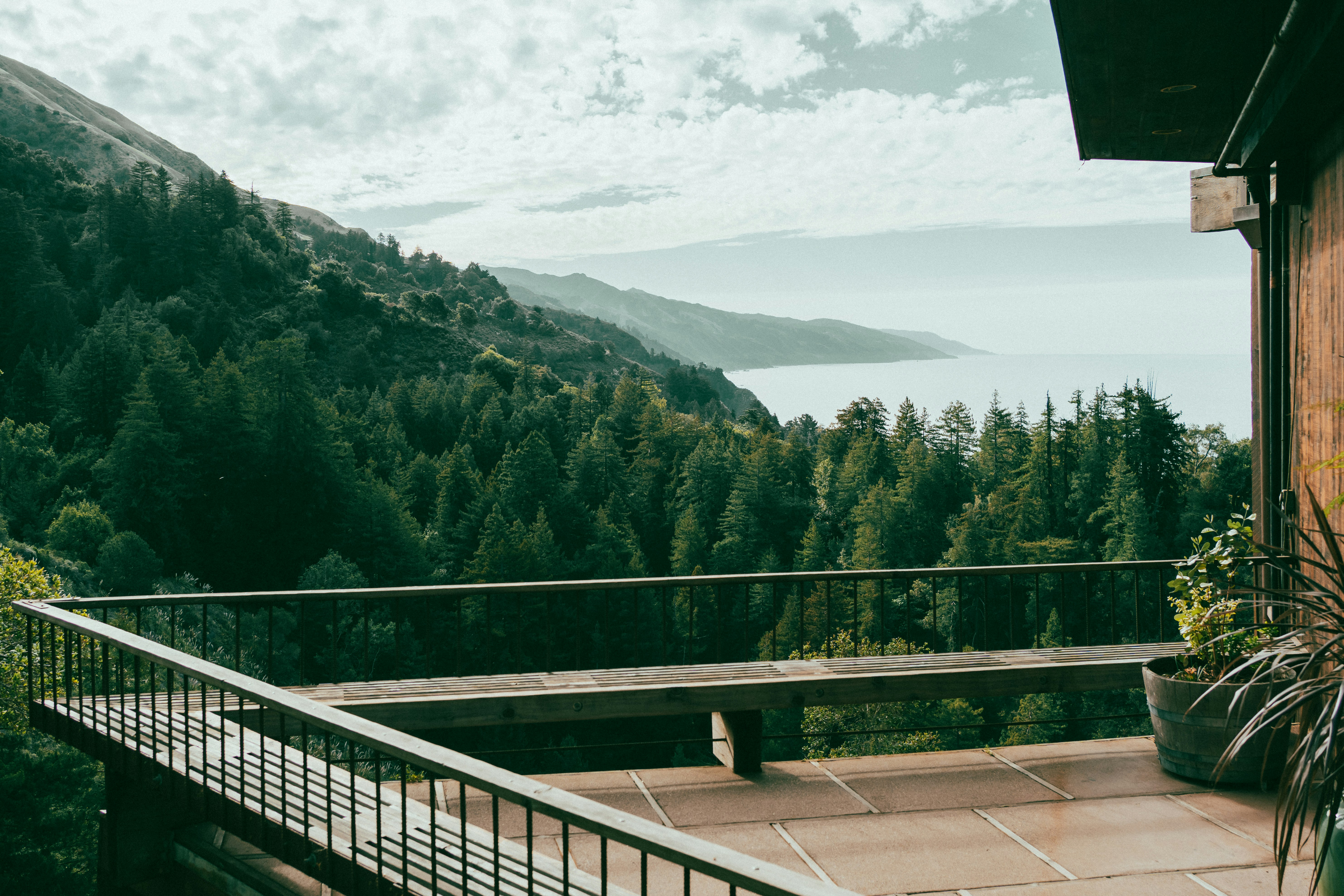 Terraced Terrains: Balcony Overlooking a Sea of Pines