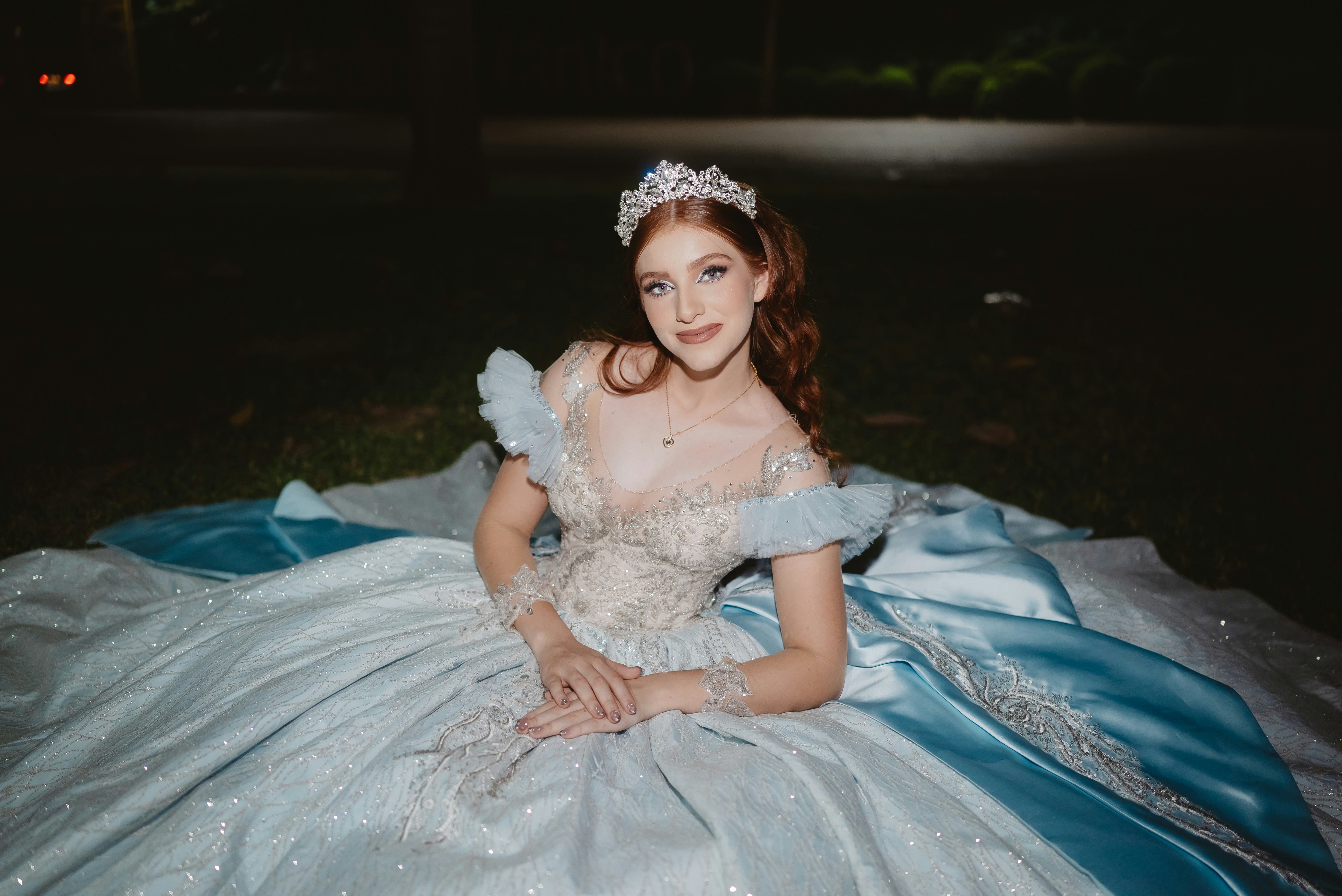 Crowned in Moonlit Silk: Portrait of a Fairytale Princess