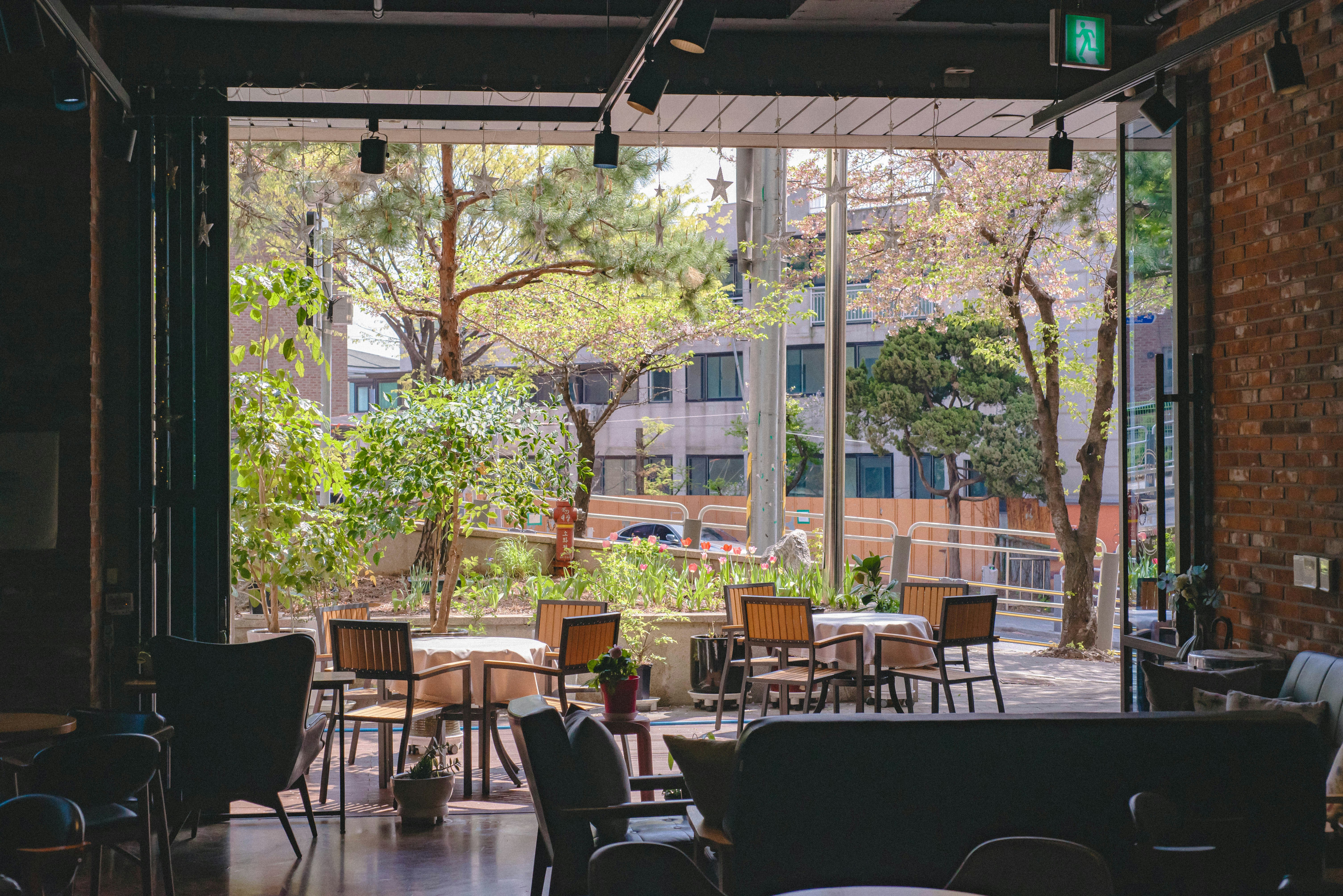 Sunlit Courtyard Through the Café Windows