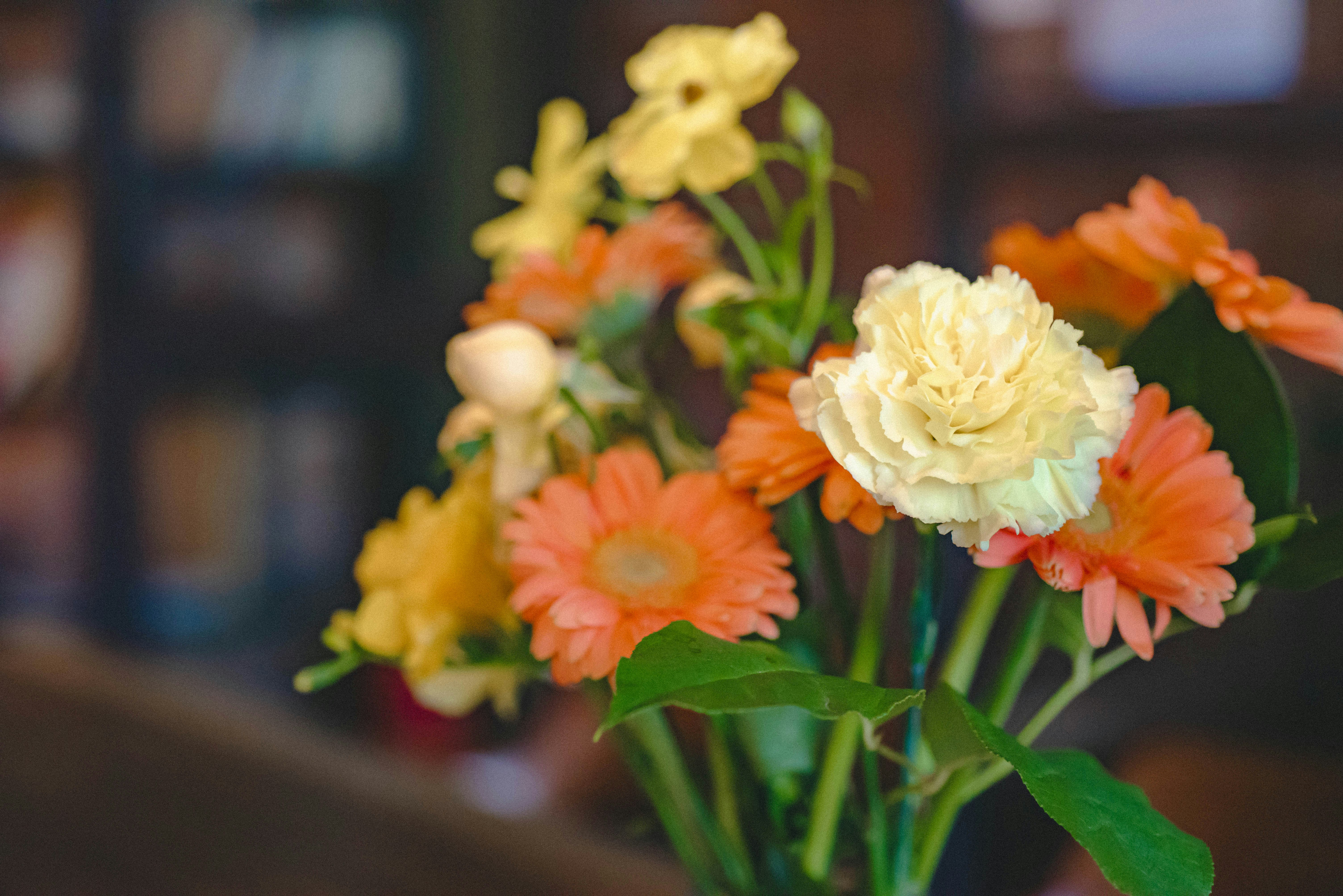 Close-Up Bouquet in Warm Library Light