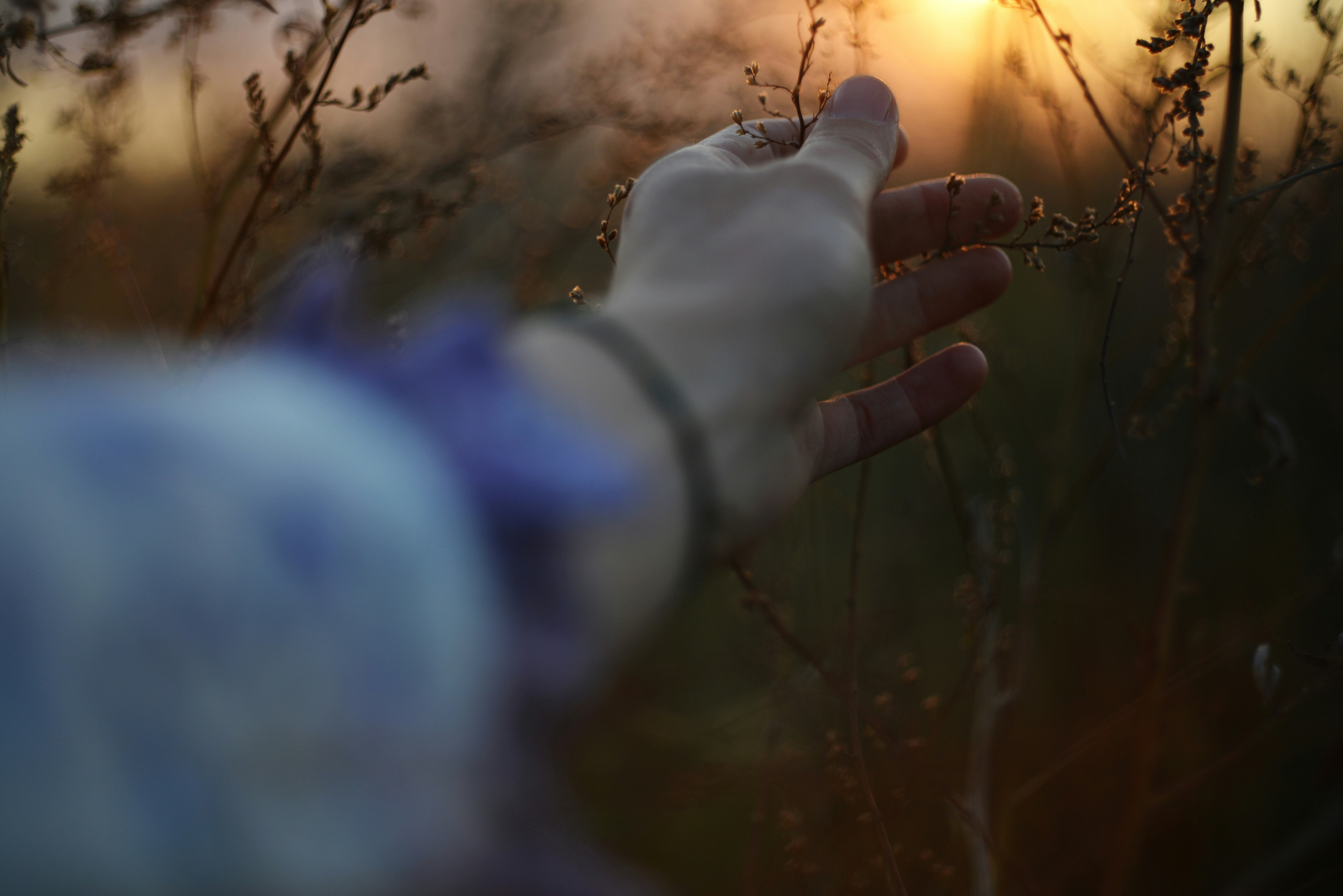 Seeking Light: A Hand Reaches toward the Evening Glow