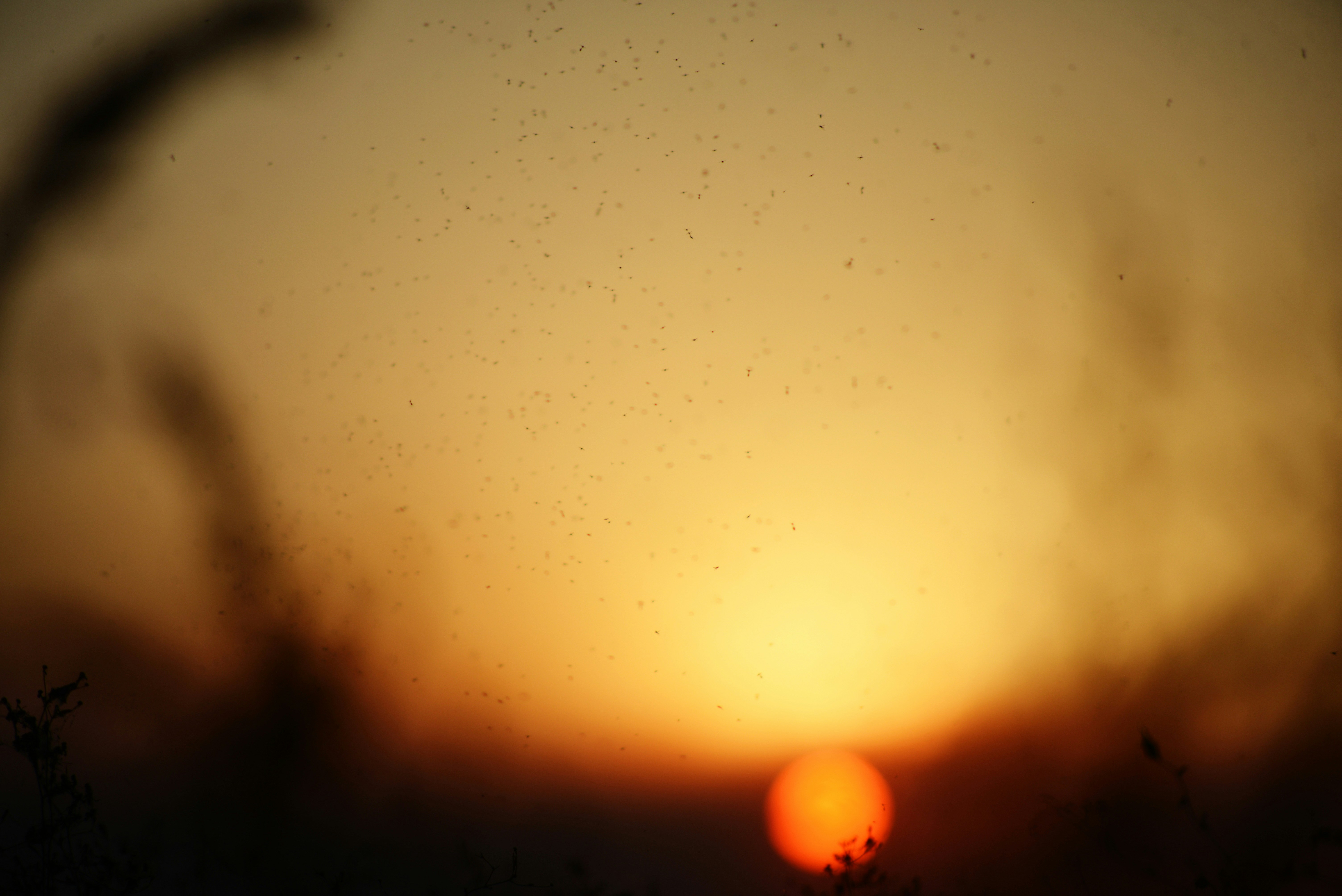 Orb of Fire on the Horizon