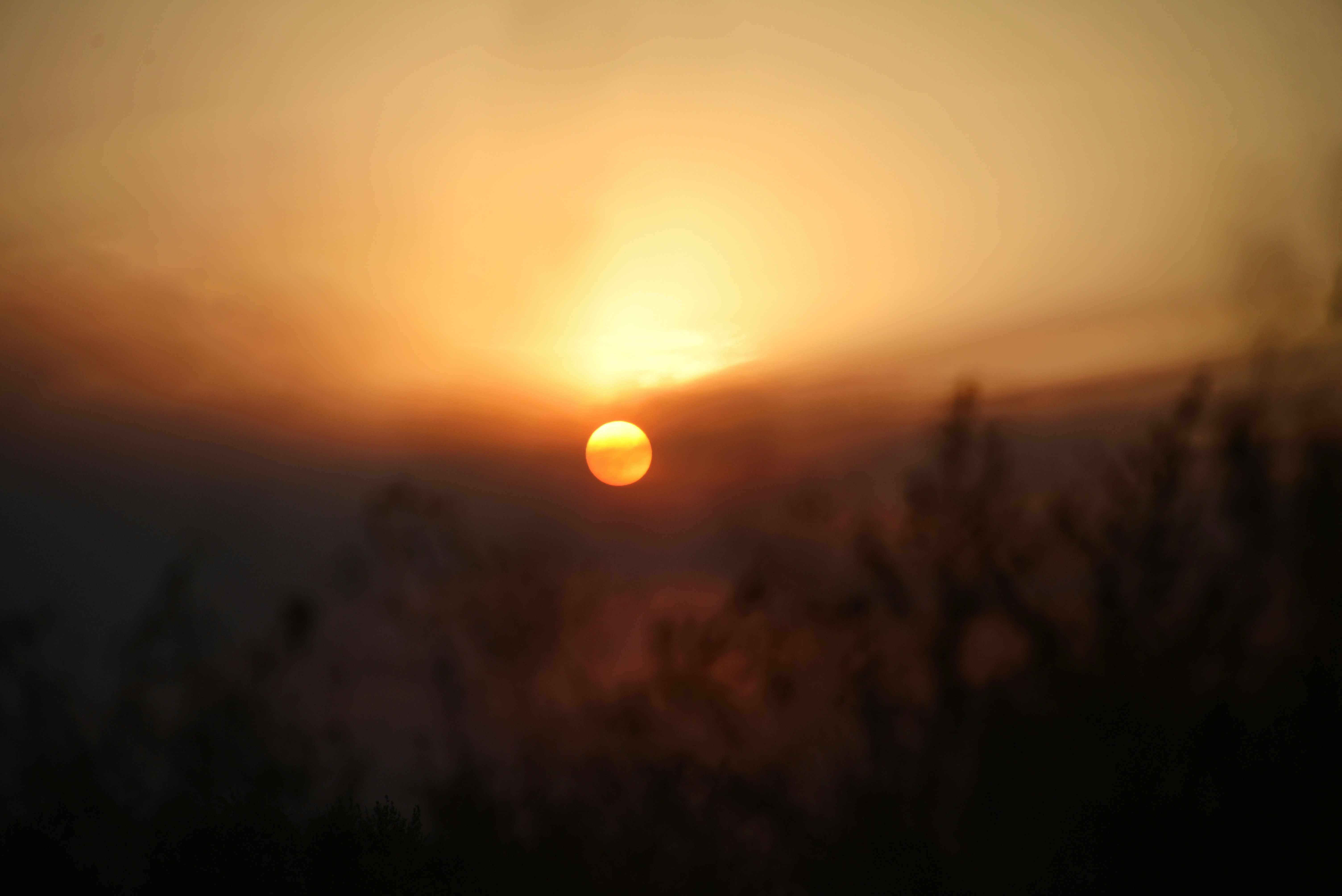 Sunset Veil Over a Blurred Horizon
