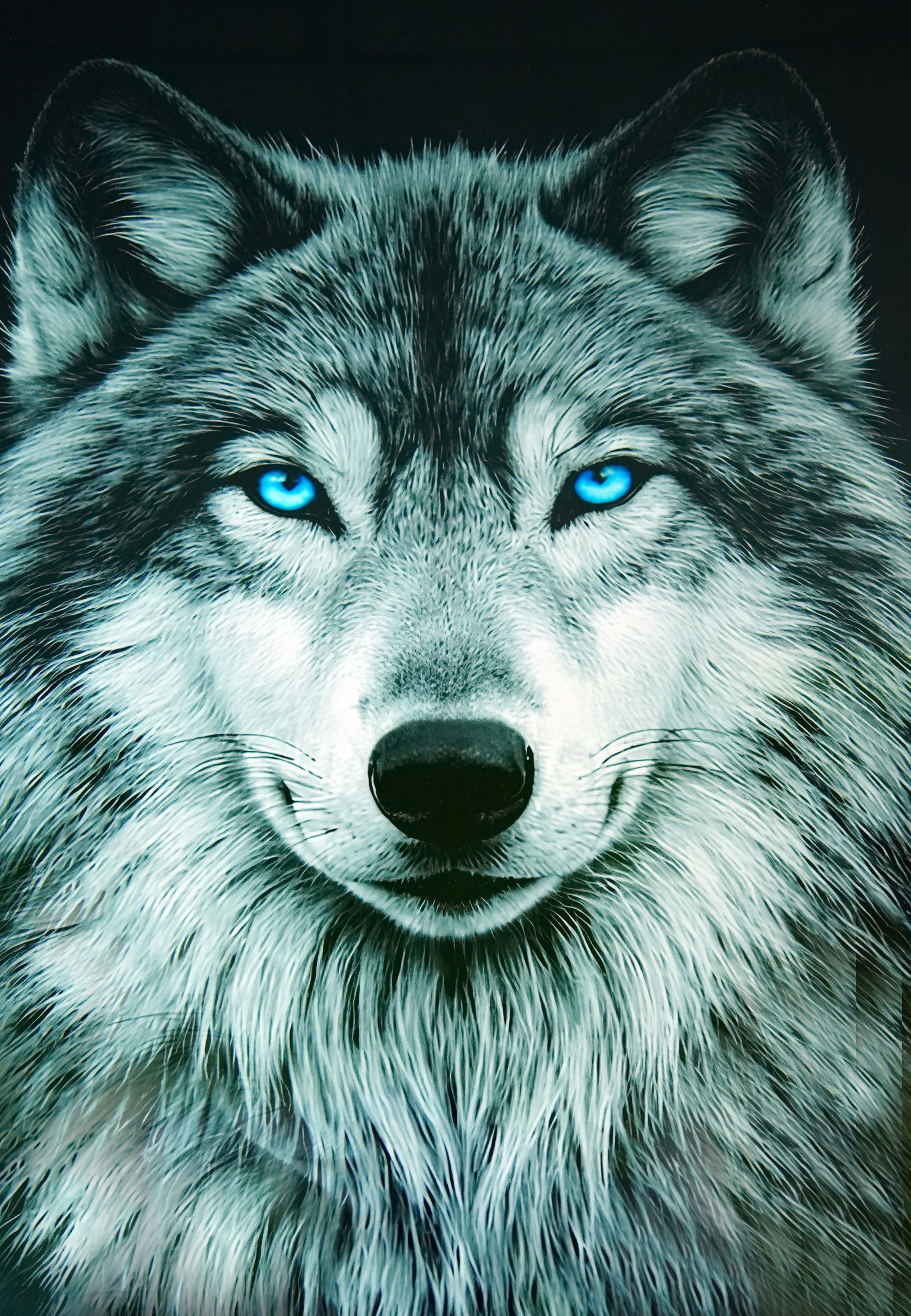 Azure-Gaze Wolf: A Close-Up of Frozen Intensity