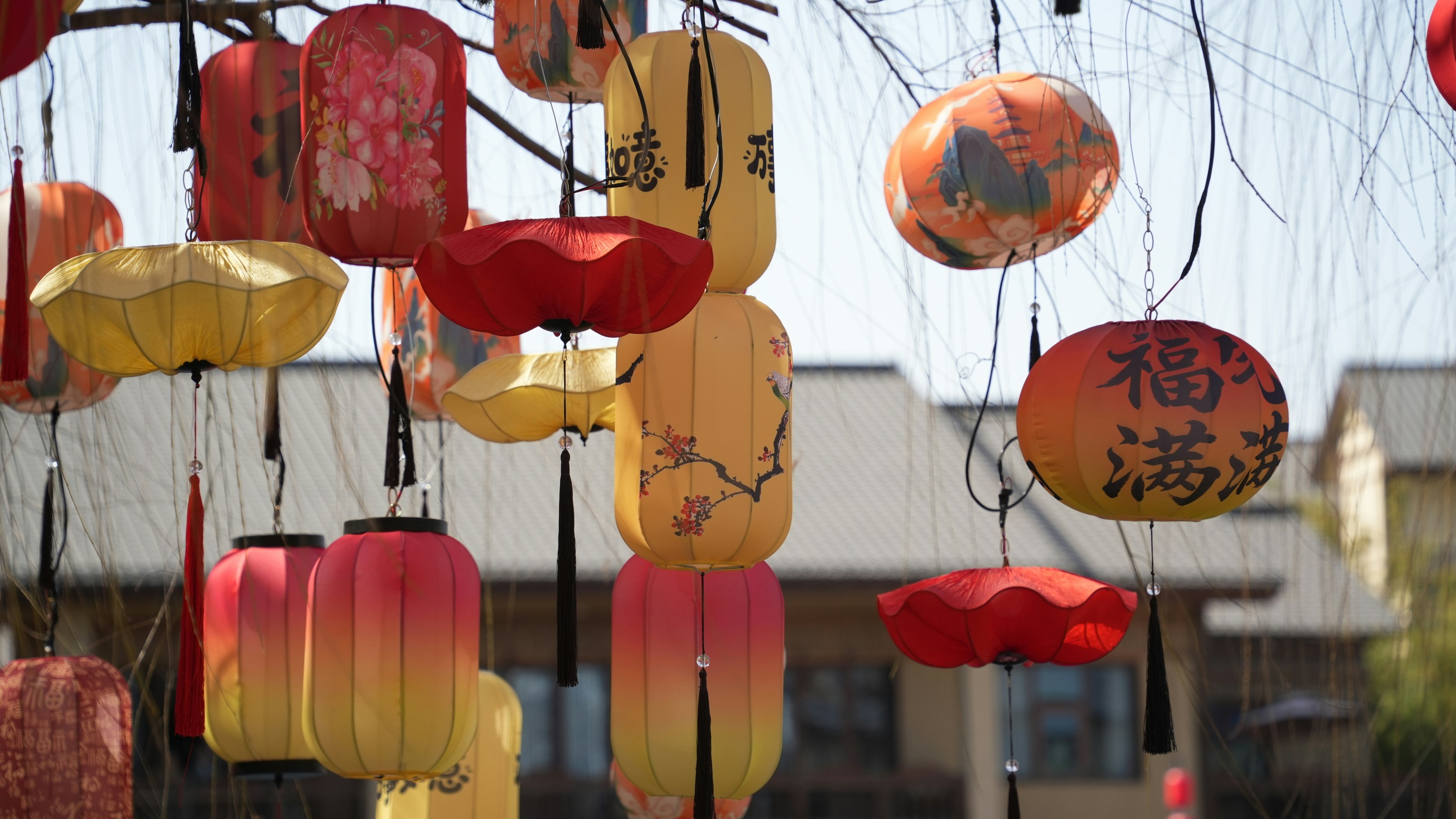 Floating Lantern Parade: A Burst of Color Beneath a Silent Sky