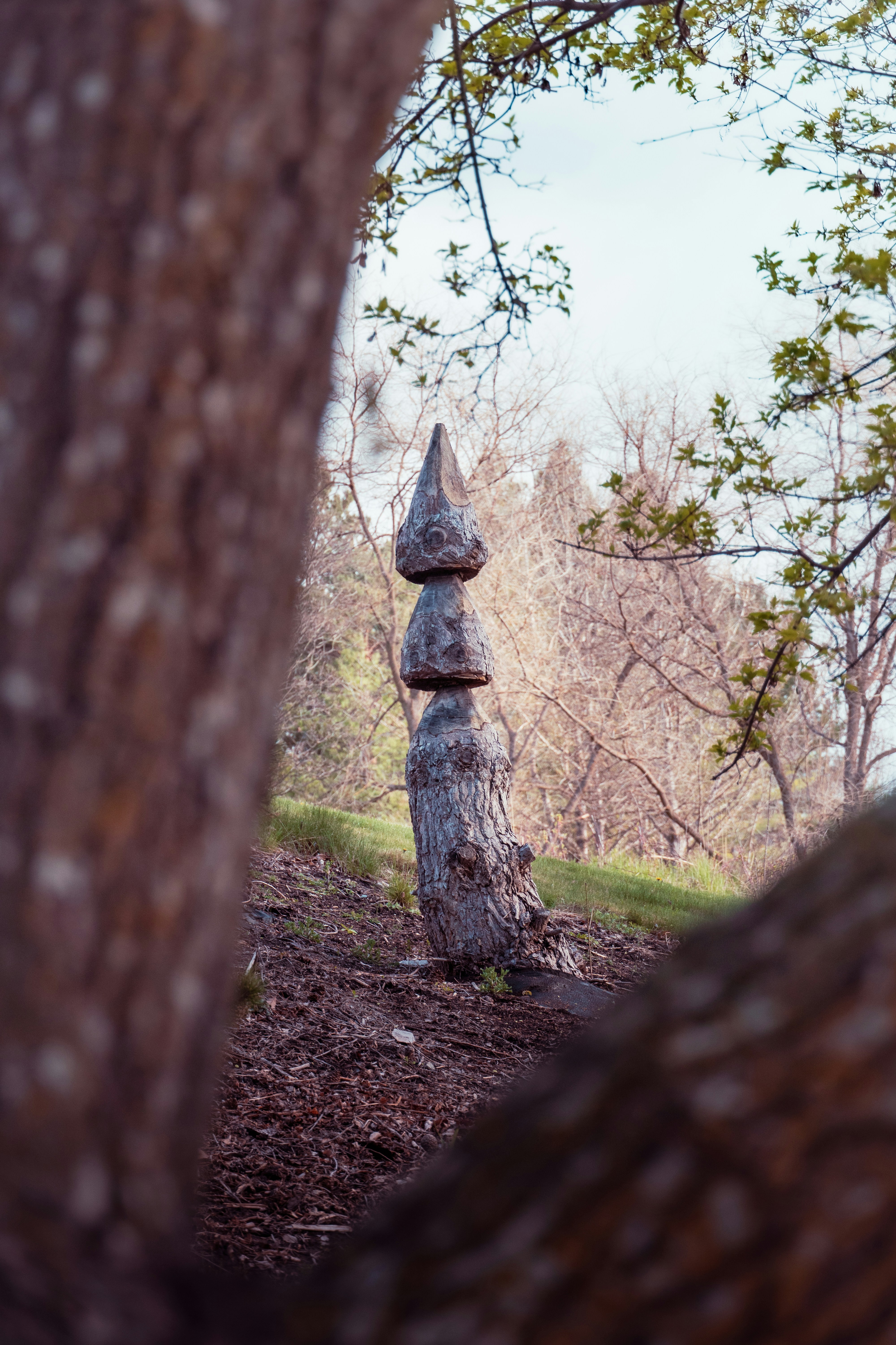 Stone Sentinel Framed by Tree Carvings