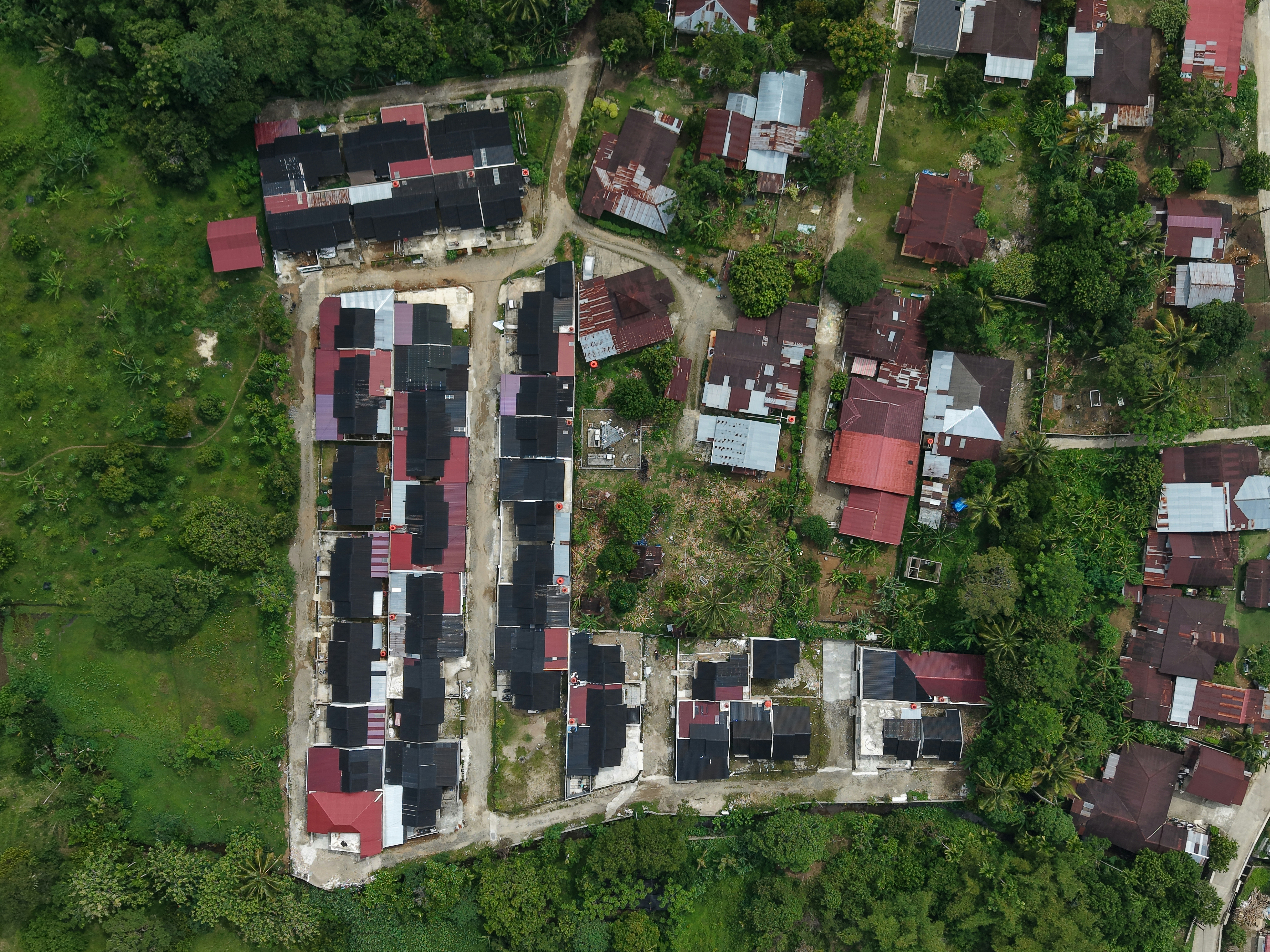 Orchard-lined Housing Cluster from Above