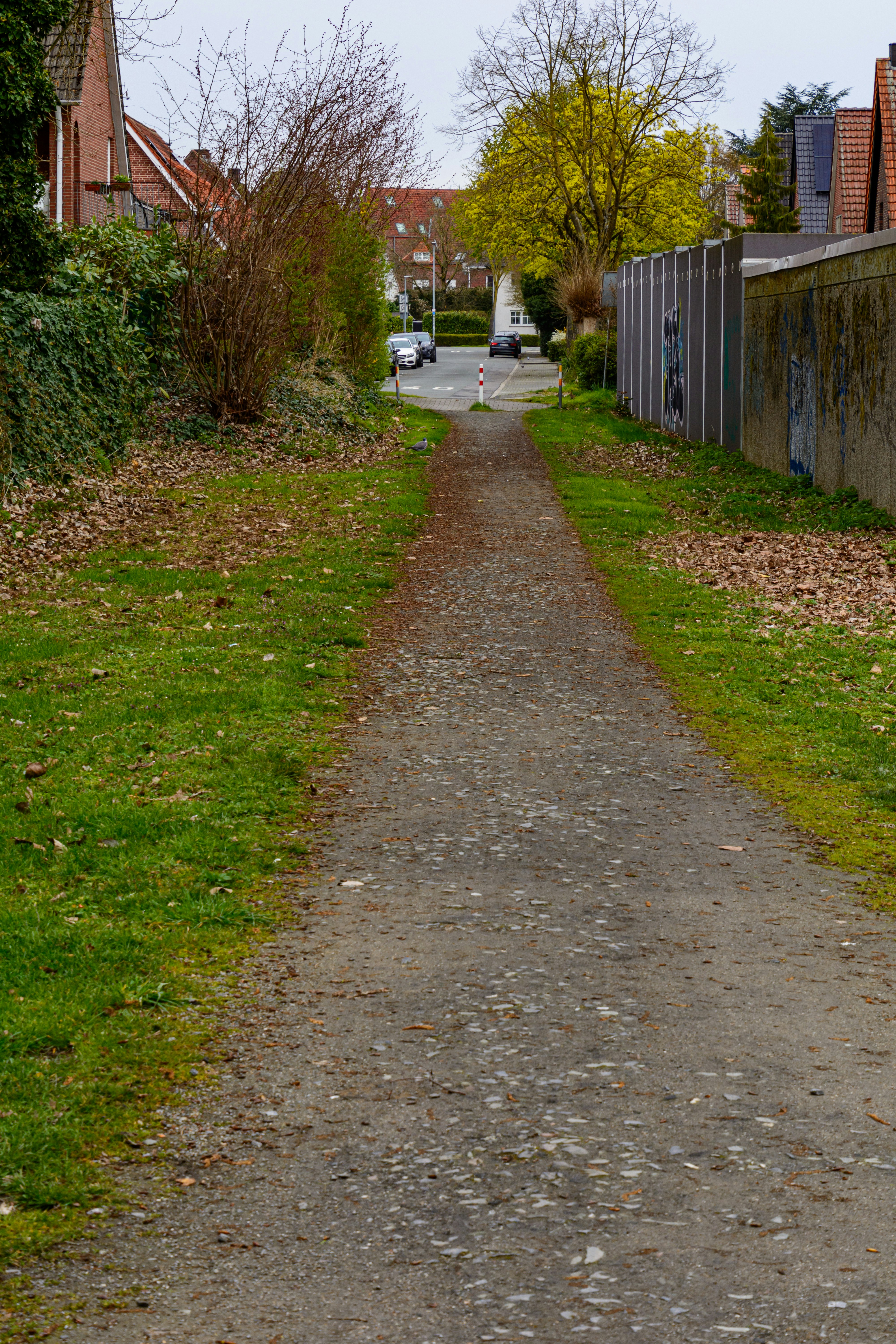 Narrow Brook Path Toward a Quiet Street