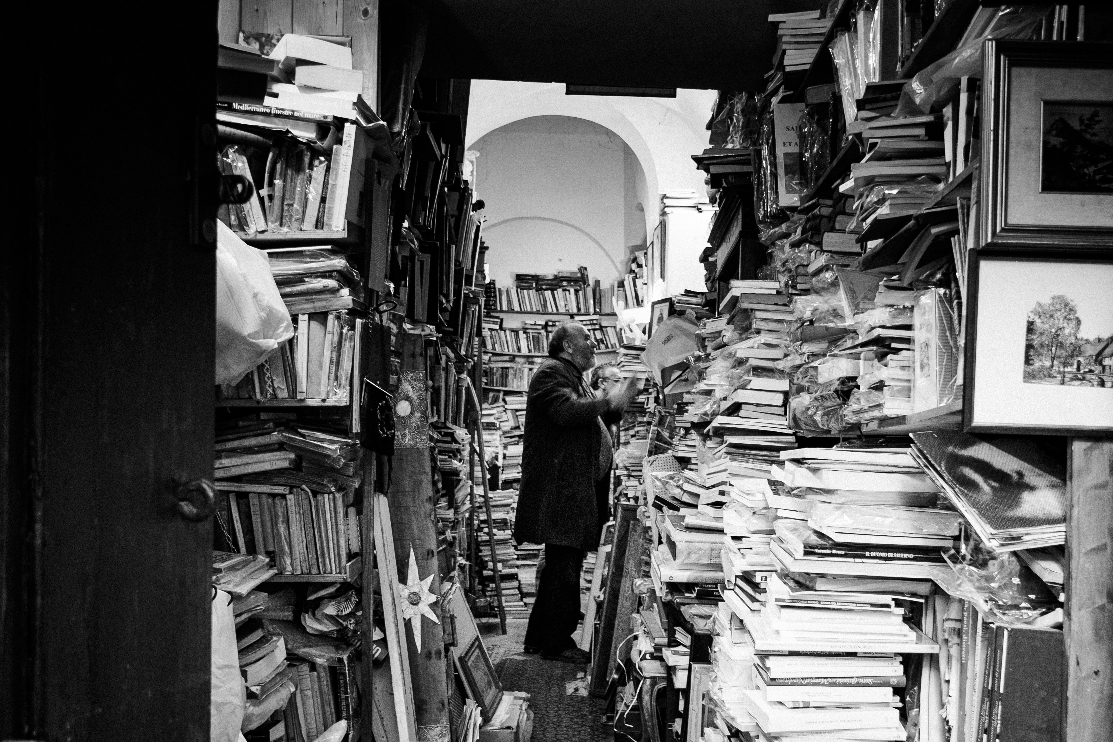 A Quiet Stacked Archive: A Librarian in the Towers of Books