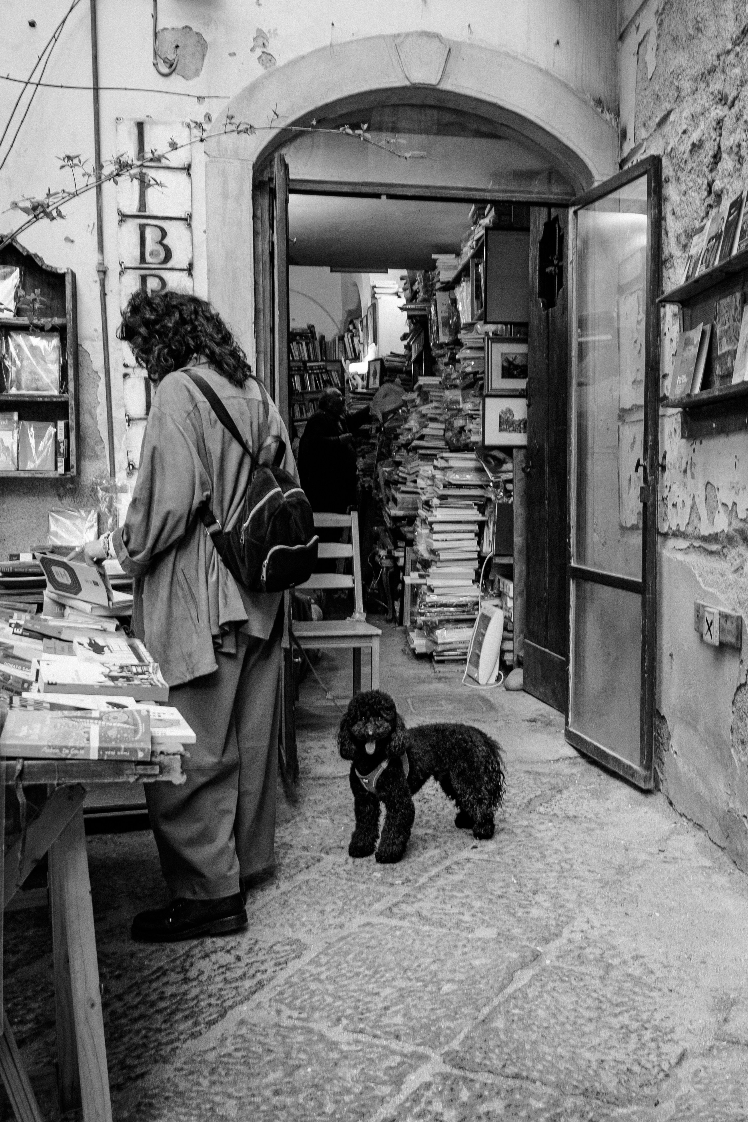 Bookseller’s Alley: A Quiet Passage Lined with Stacks and a Curious Poodle