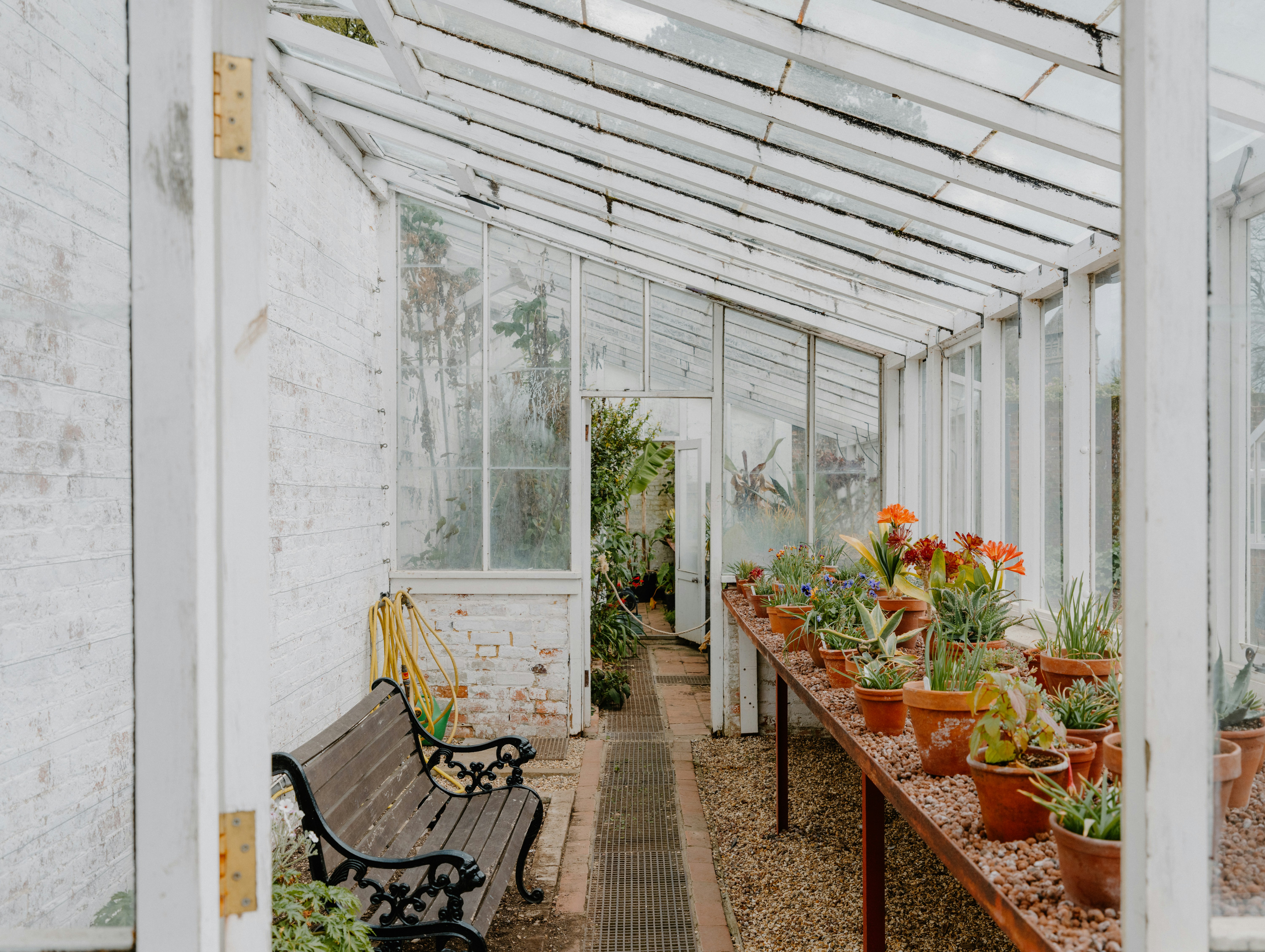 Sunlit Conservatory with Potted Plants and Worn Bench