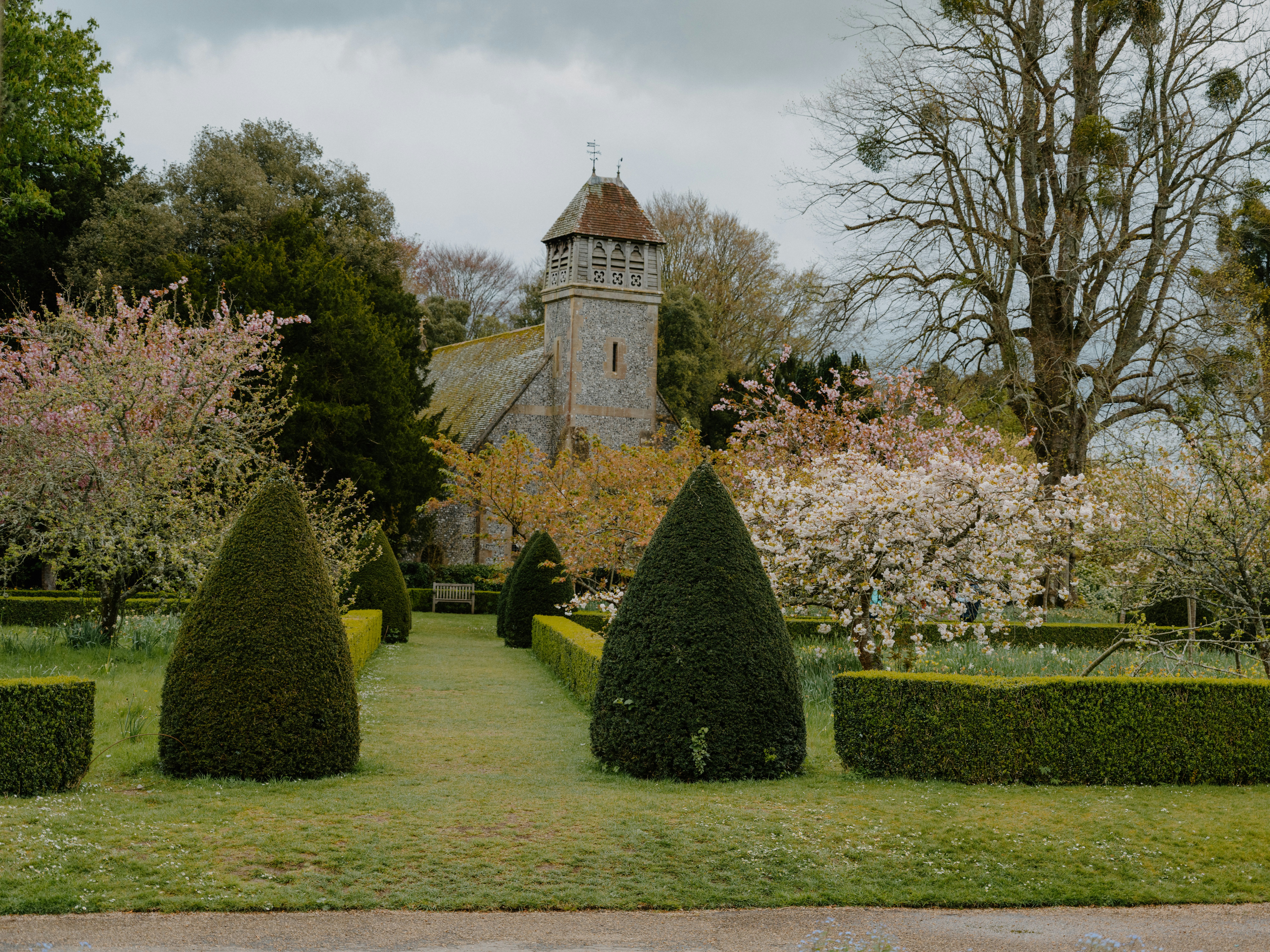 Topiary Path to the Manor: A Tranquil Palisade of Blossoms