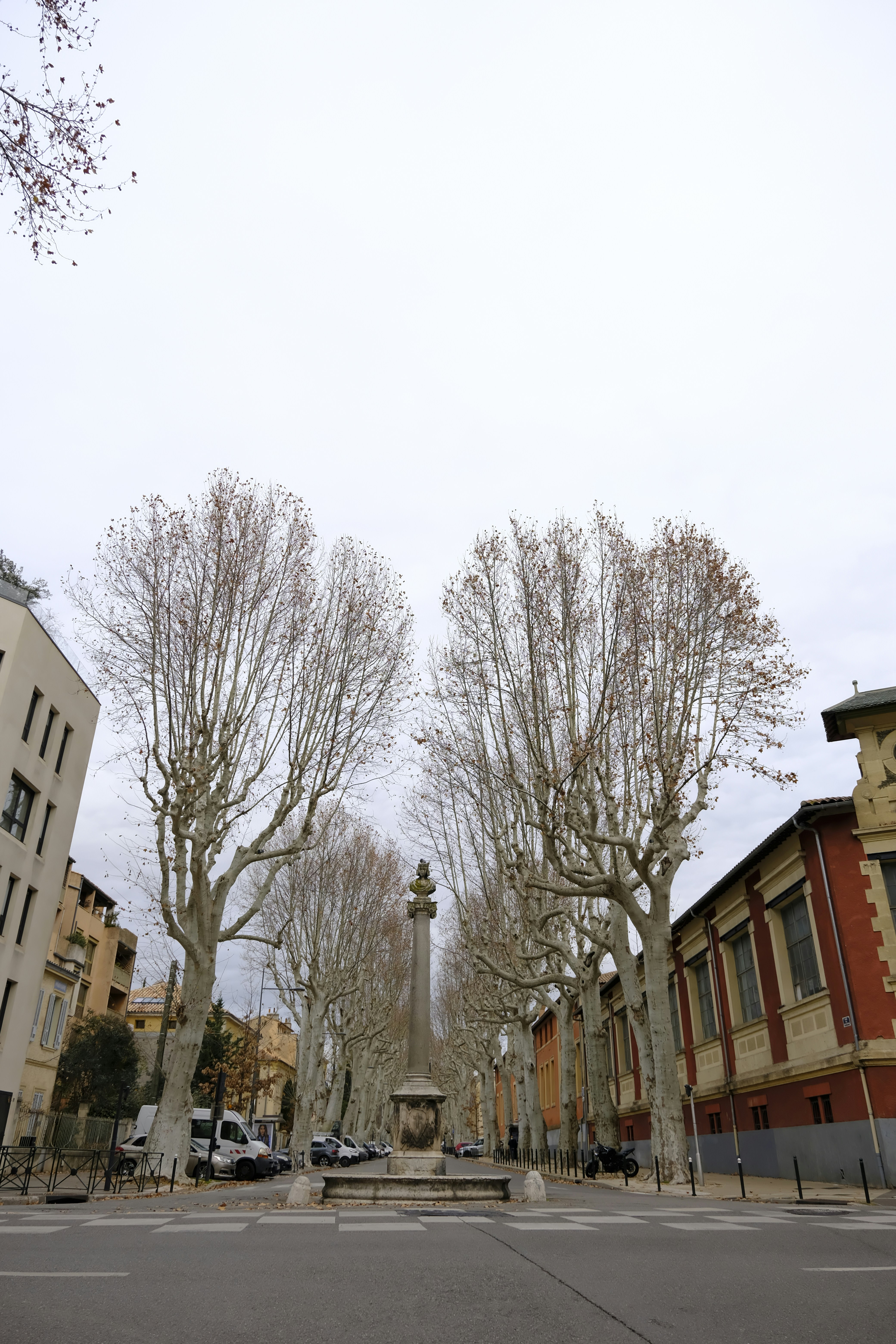 Tree-lined Plaza with Central Monument