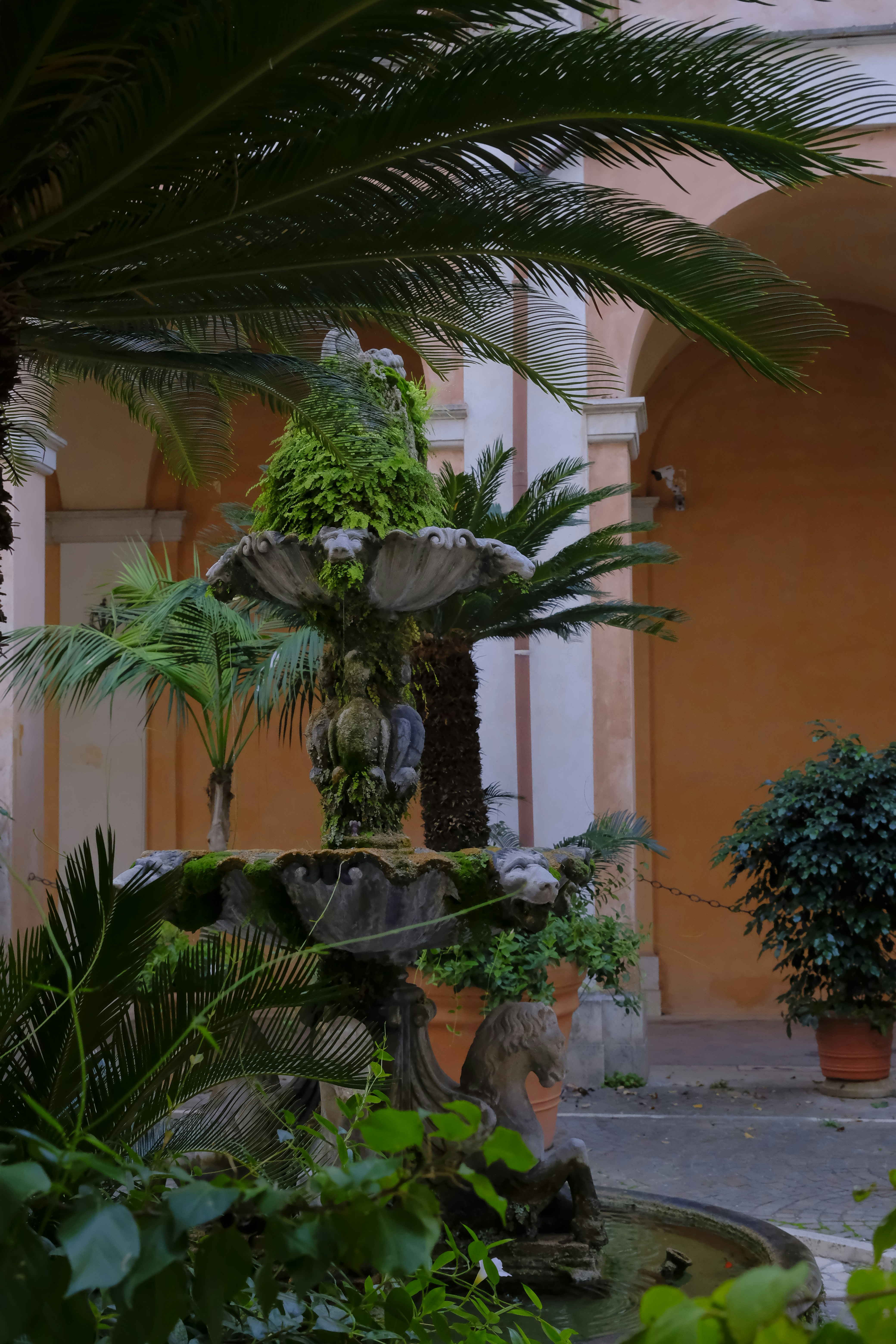 Centerpiece Fountain in a Sunlit Courtyard Garden