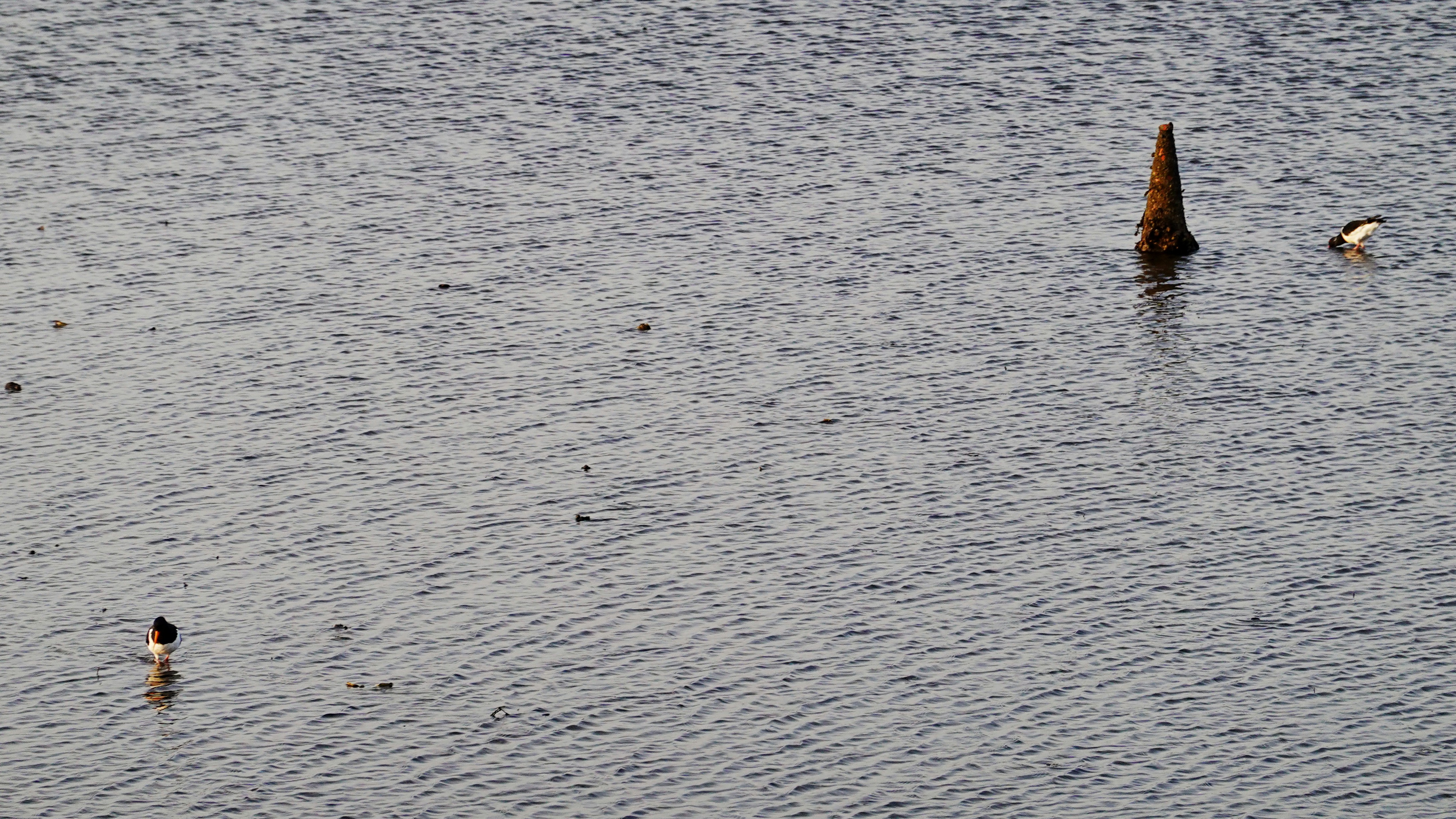 Piercing Light on Distant Marker