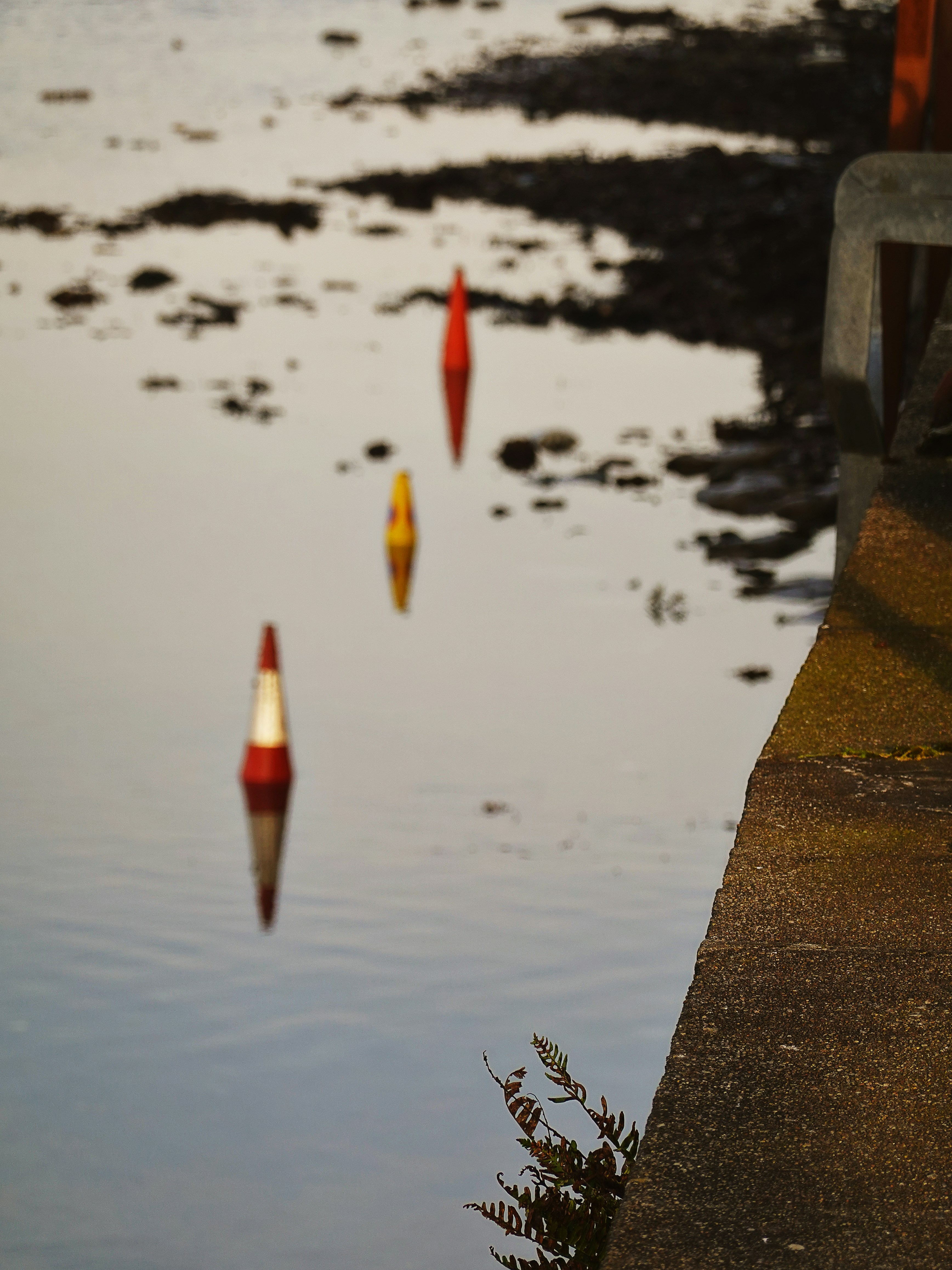 Reflections at the Pier: Colored Buoys and Quiet Concrete Edge