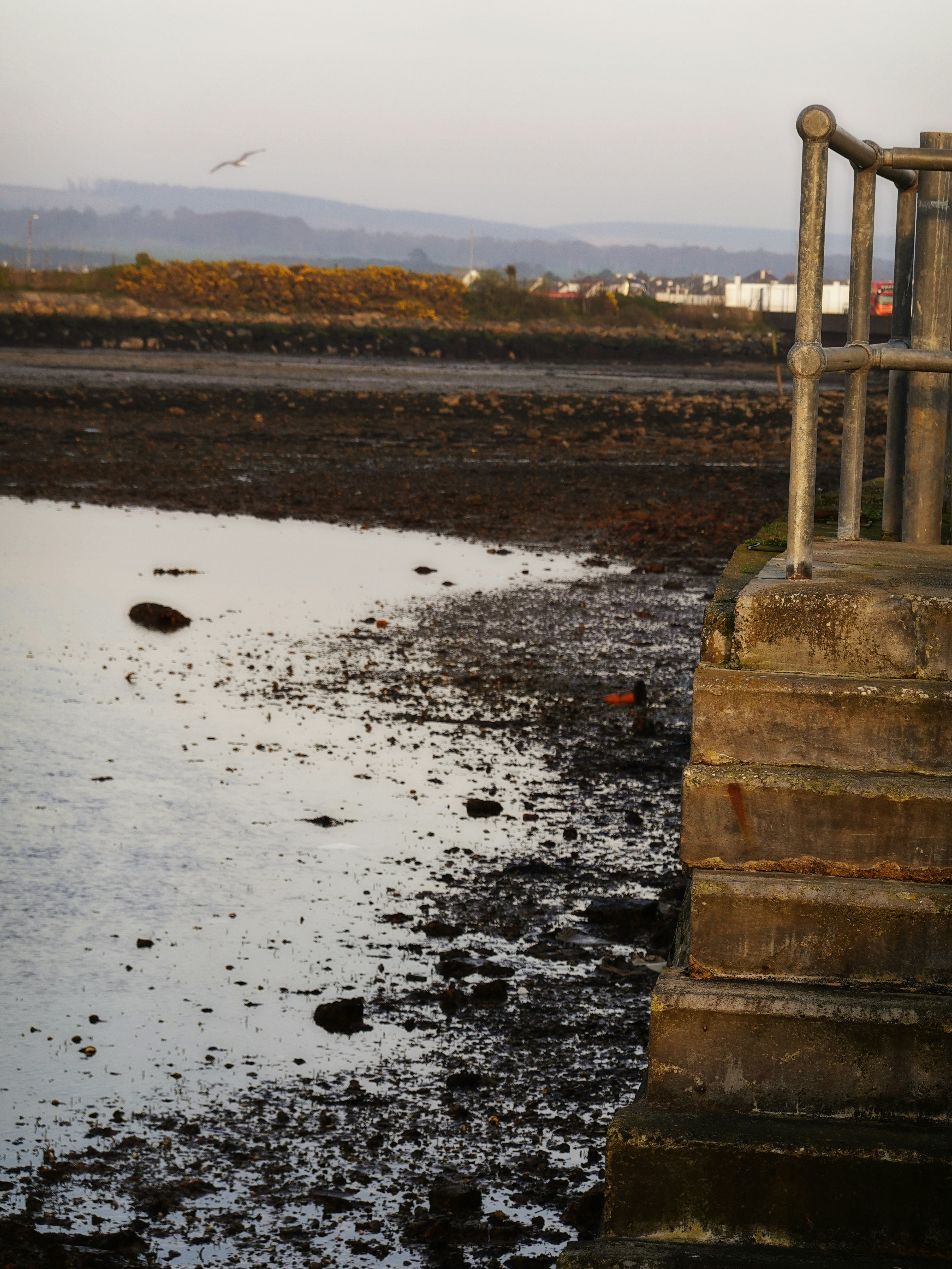 Rusted viewing platform by the tidal edge
