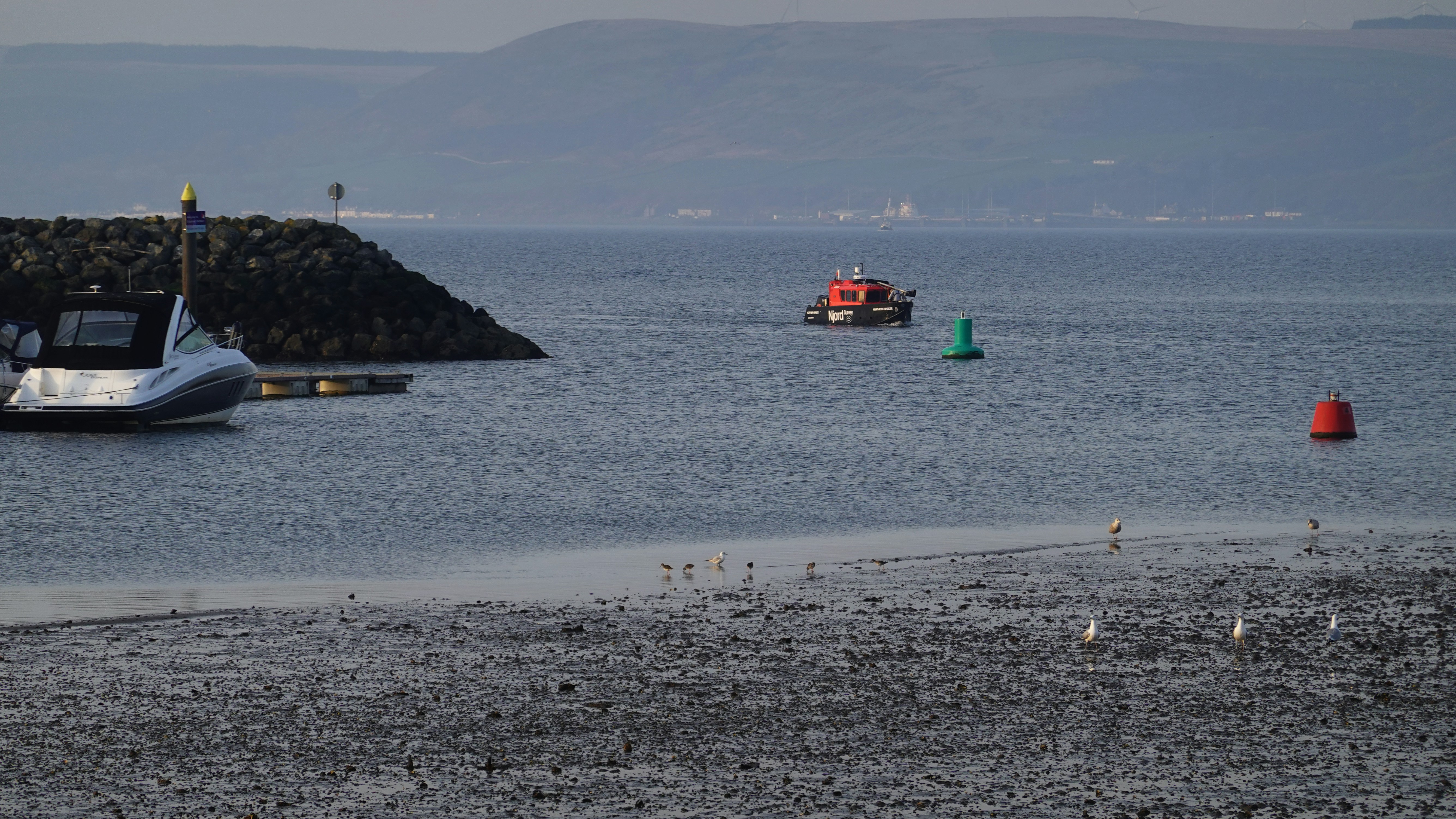 Harbor Calm: Boatside Edge and Distant Buoys