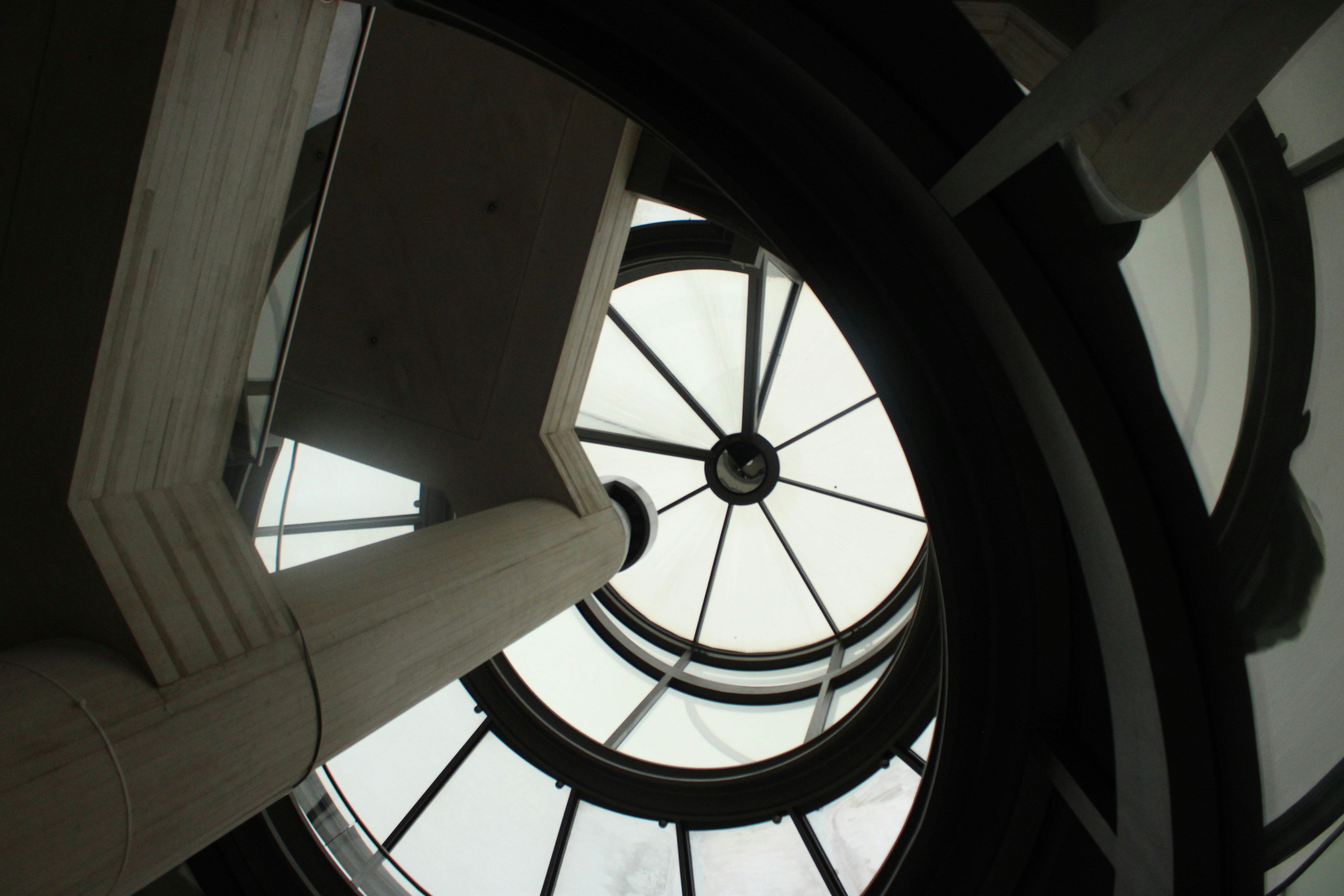 Spiral Atrium: A Portrait of Circular Architecture from Below