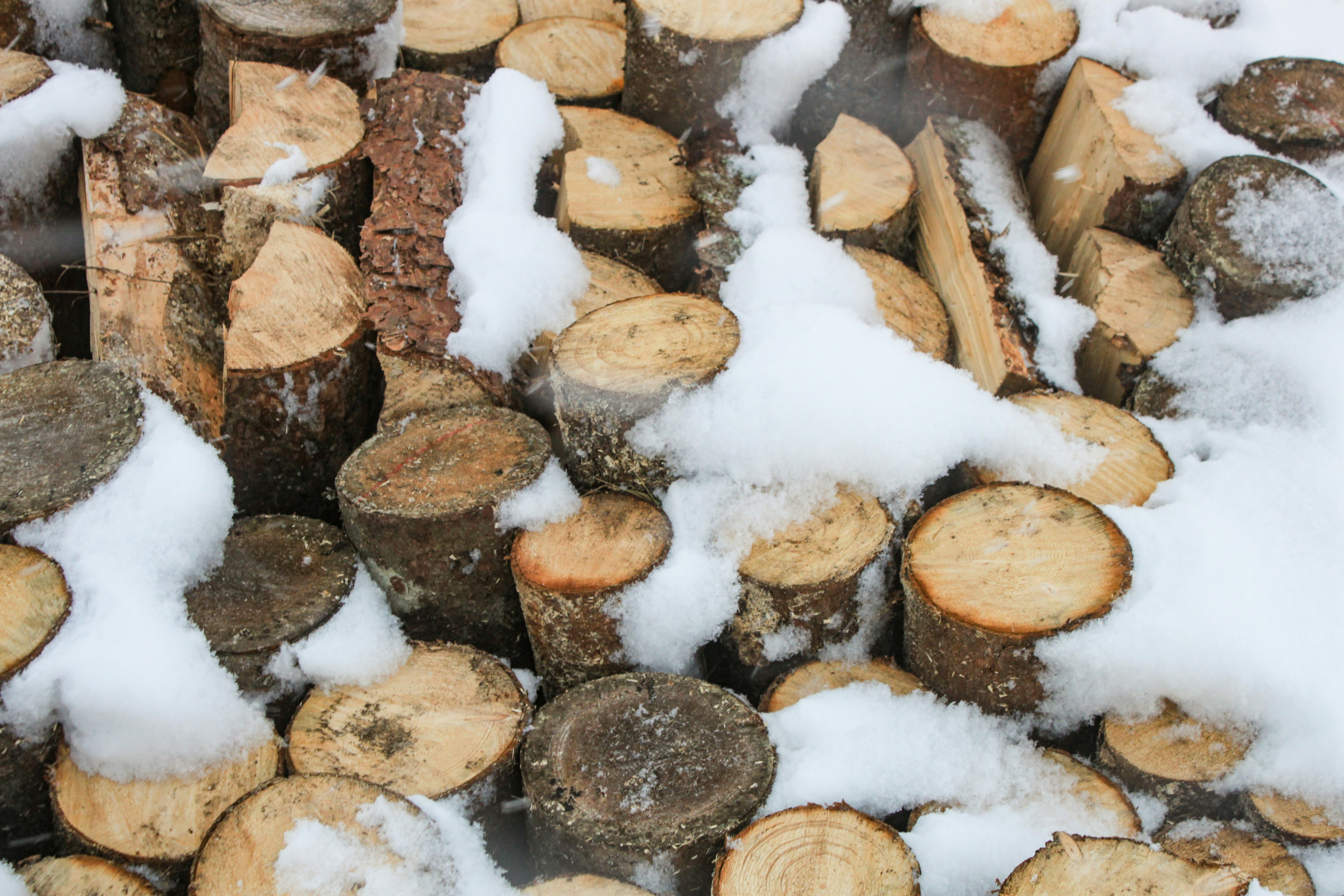 Snow-topped logs stacked in a rustic timber pile