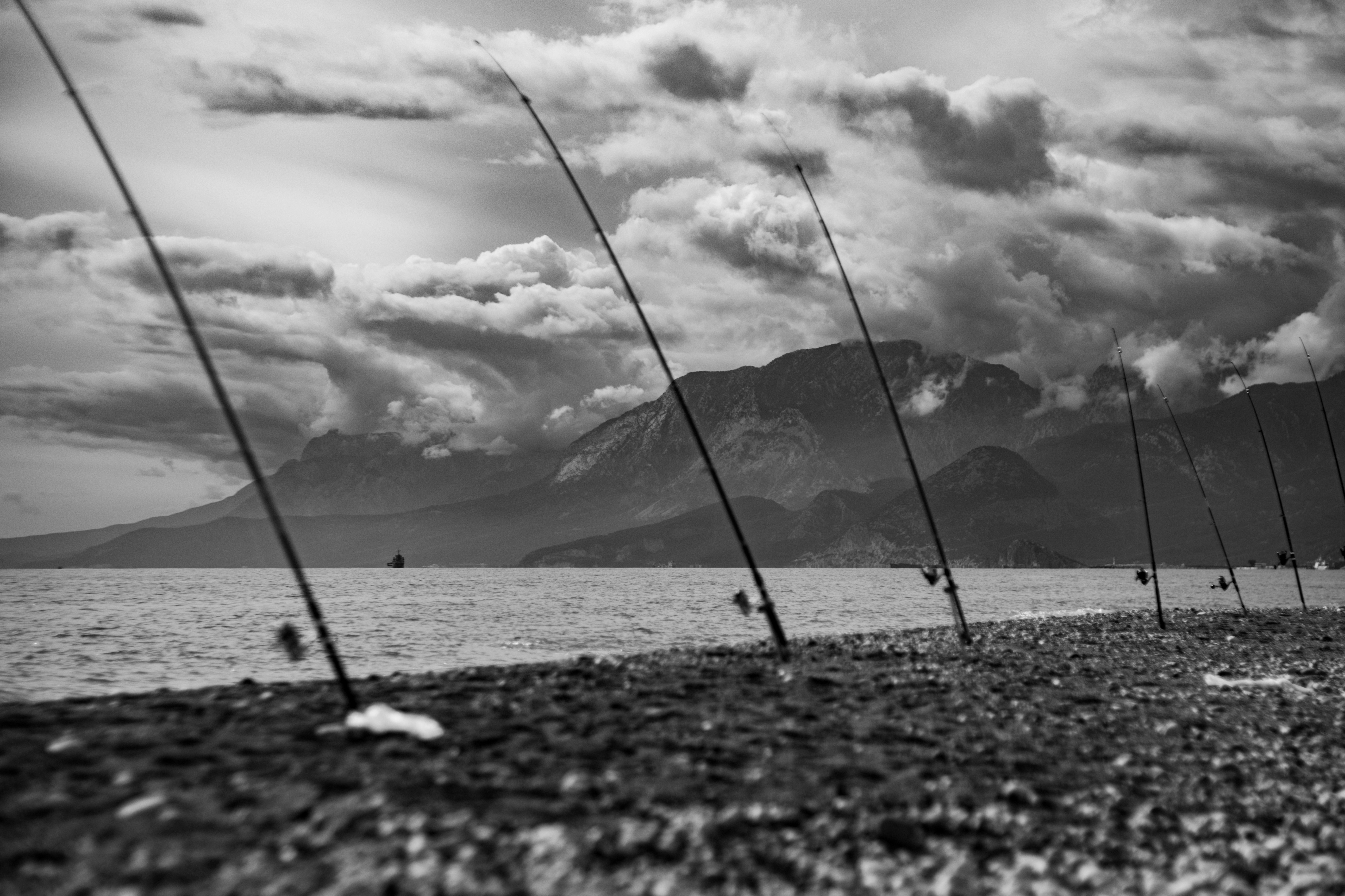 Rods of Silence: Fishing Lines Cast Along a Windy Shore