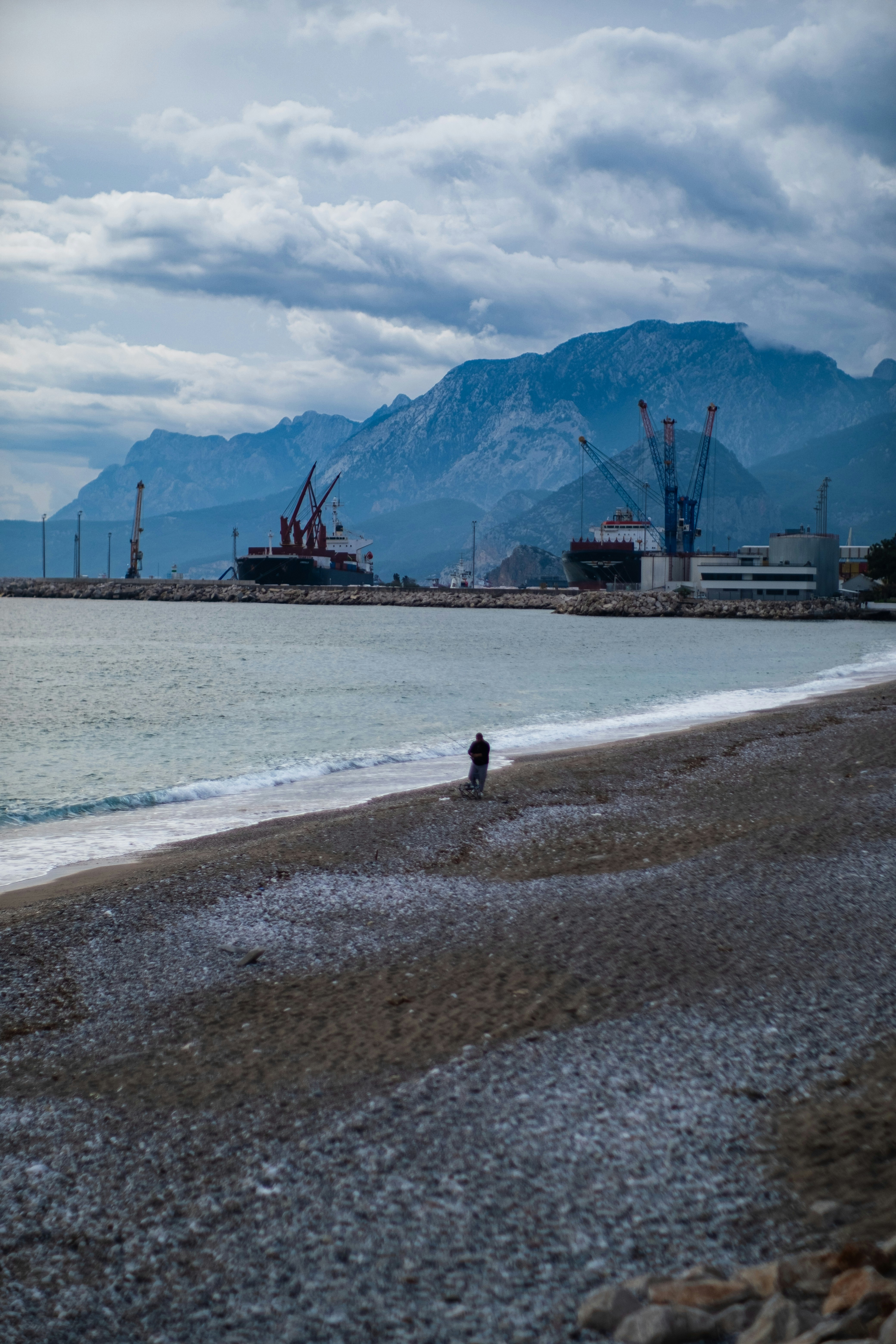 Lone Angler at the Shoreline as Cranes and Mountains Watch