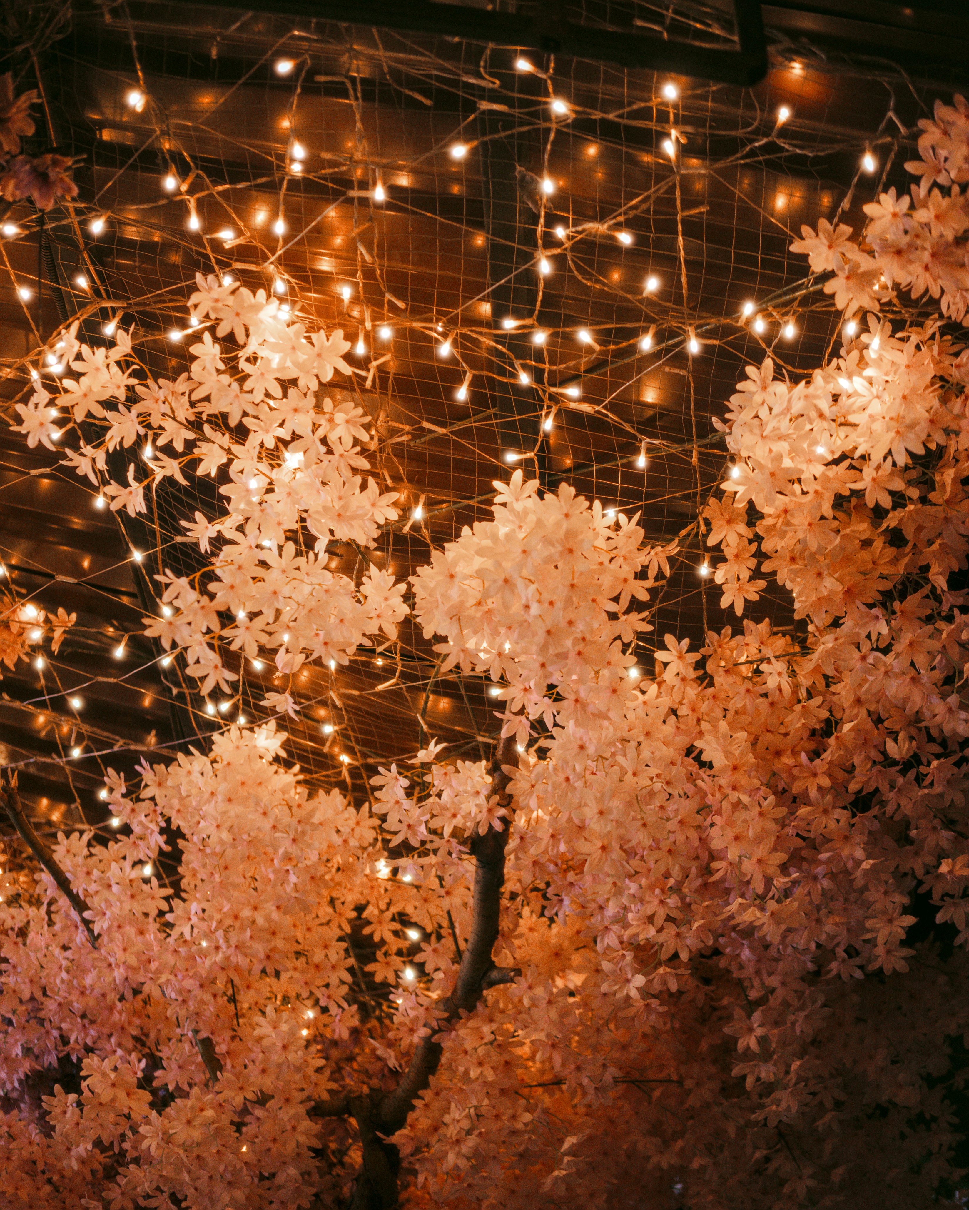 Twilight Orchard of Fairy Lights