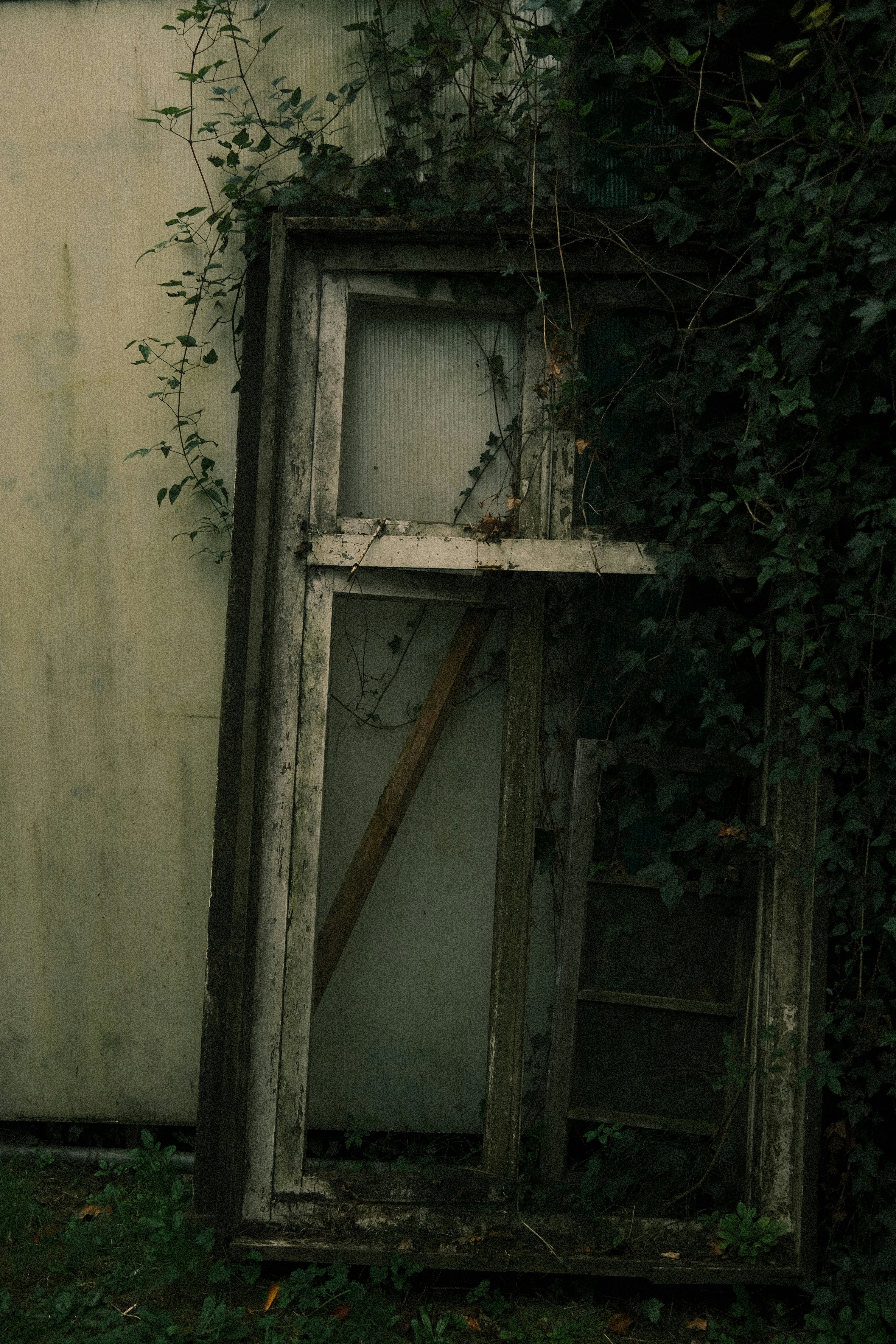 Overgrown Frame: a Weathered Window Stares Back