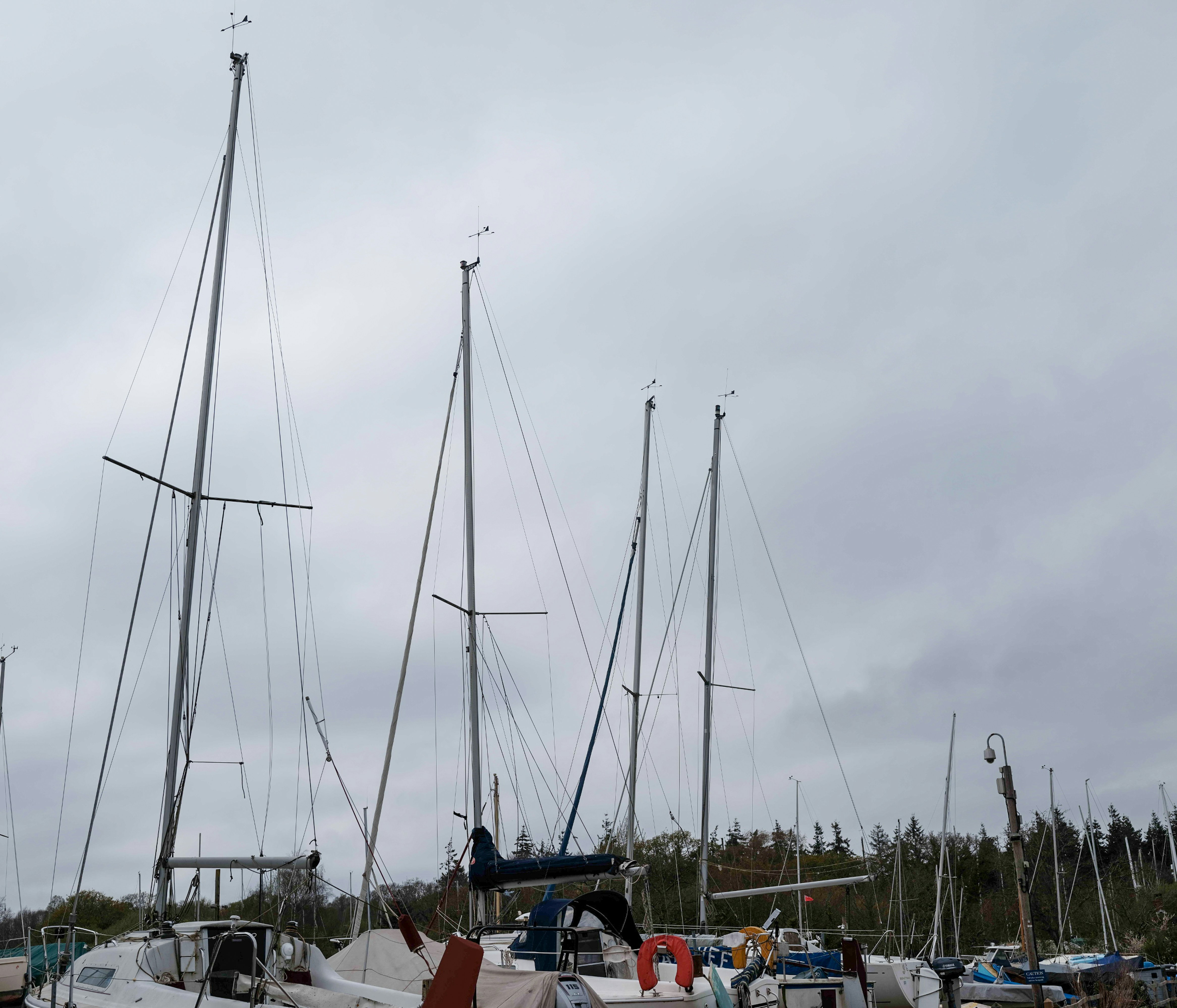 Moorings at Dusk: Sailboats Resting Under Overcast Sky