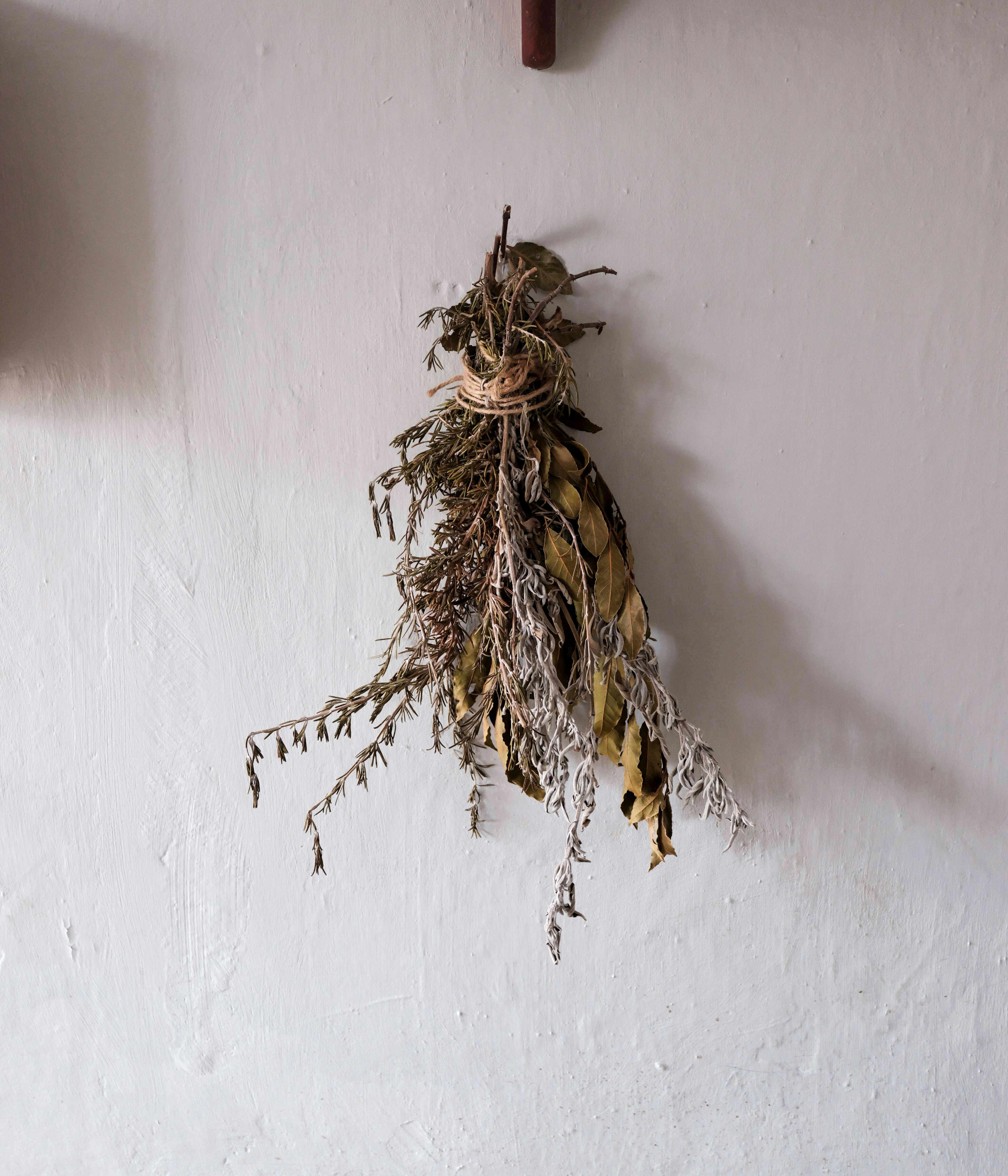 Hanging withered bouquet: a quiet vignette on a sunlit wall