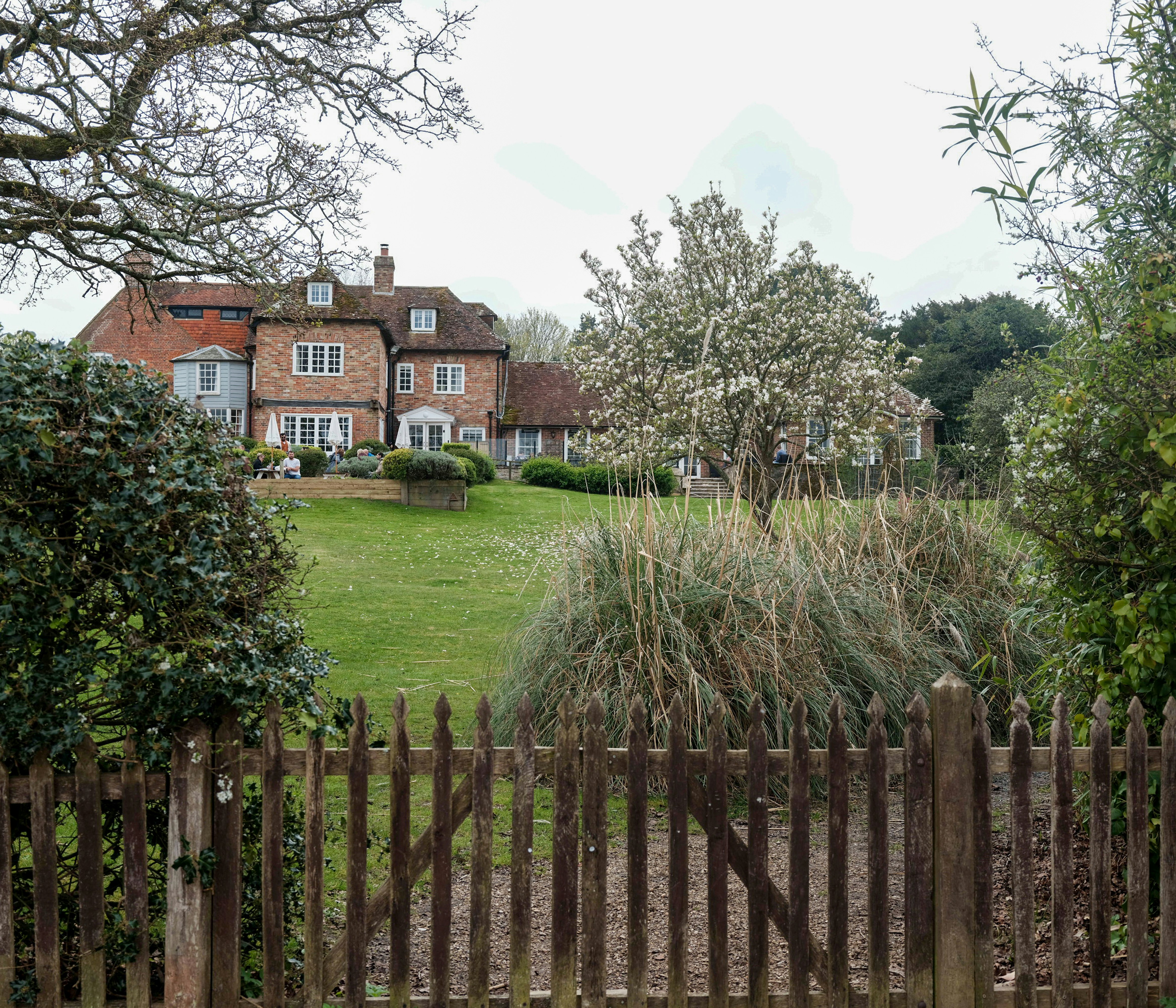 English cottage garden with blossoming tree and wooden picket fence