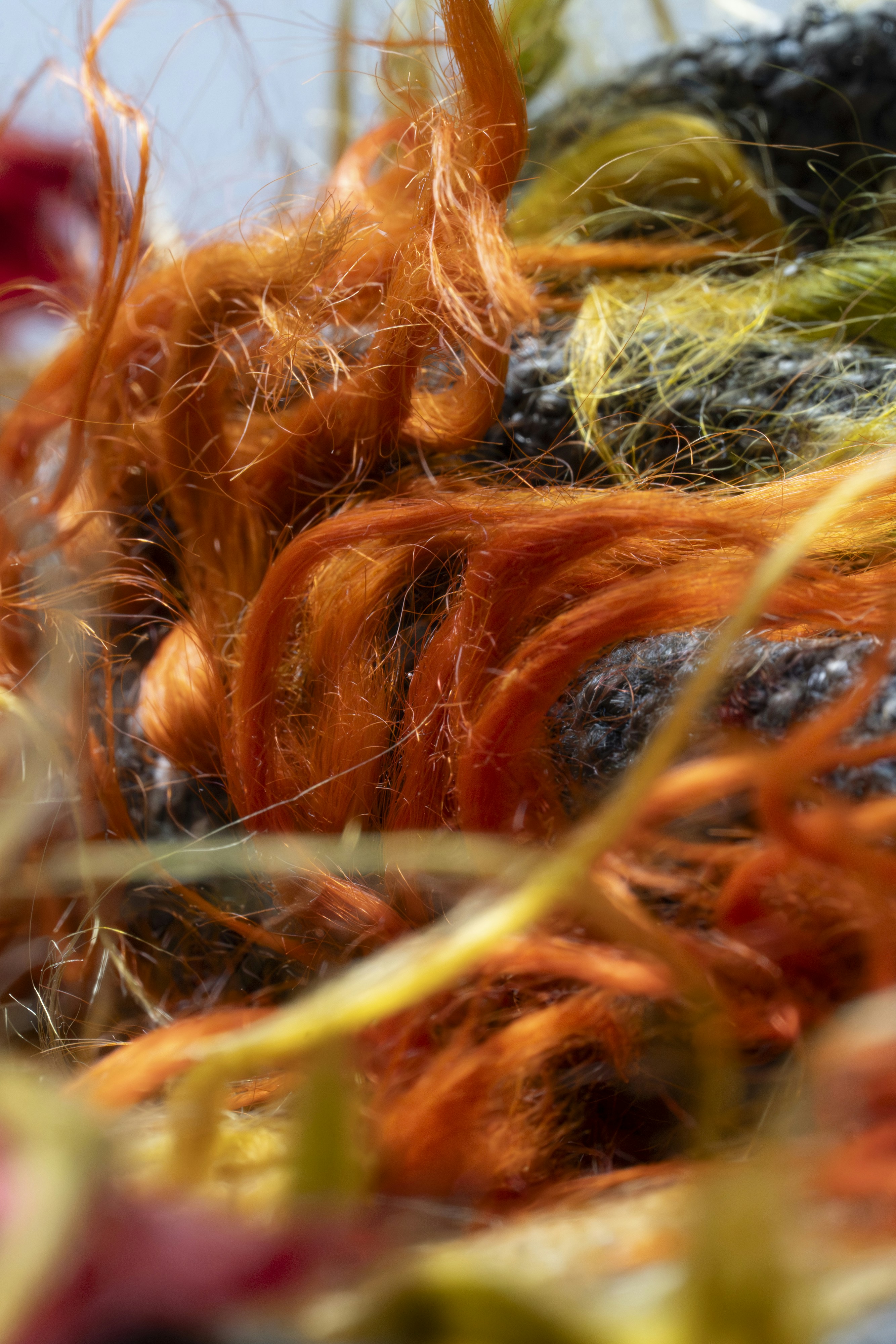 Tangled Threads: a splash of vivid orange fibers in macro texture