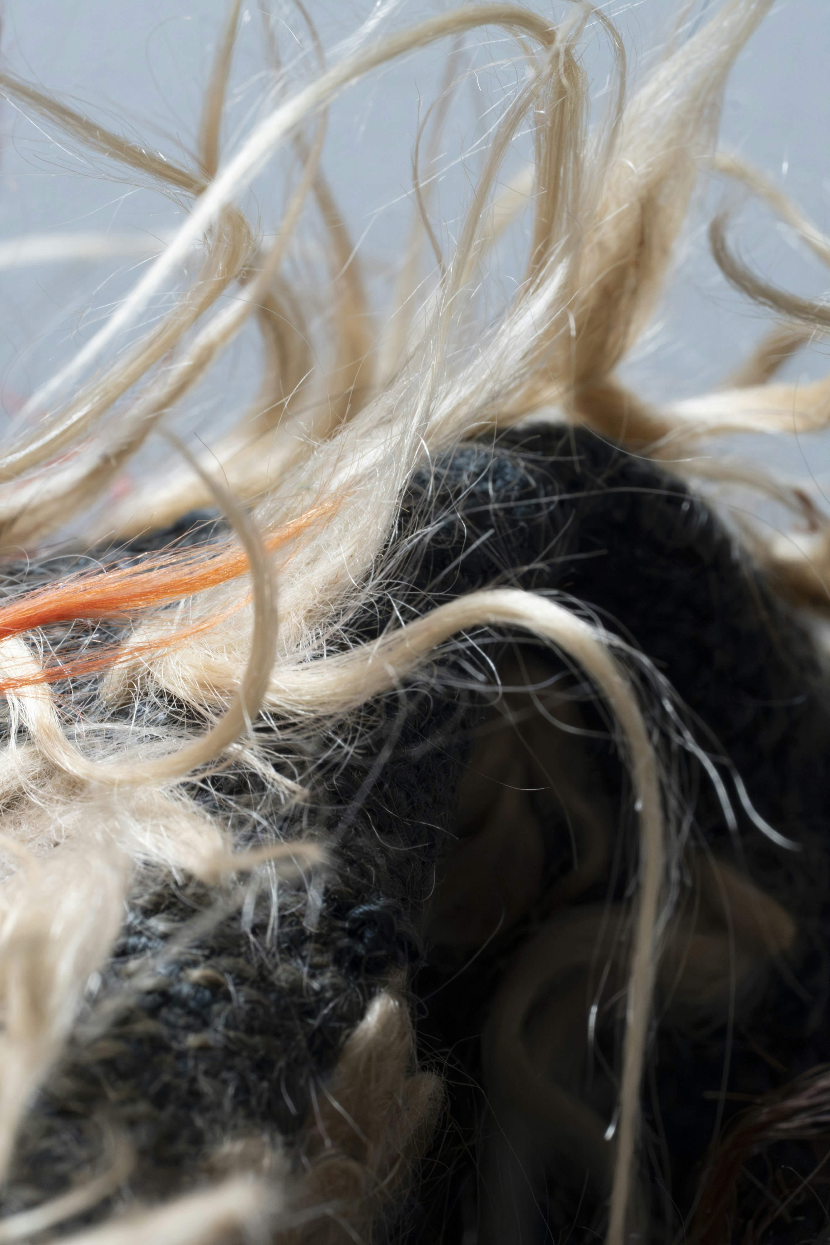Curled Strands of Light: A Close-Up Portrait in Hair Texture