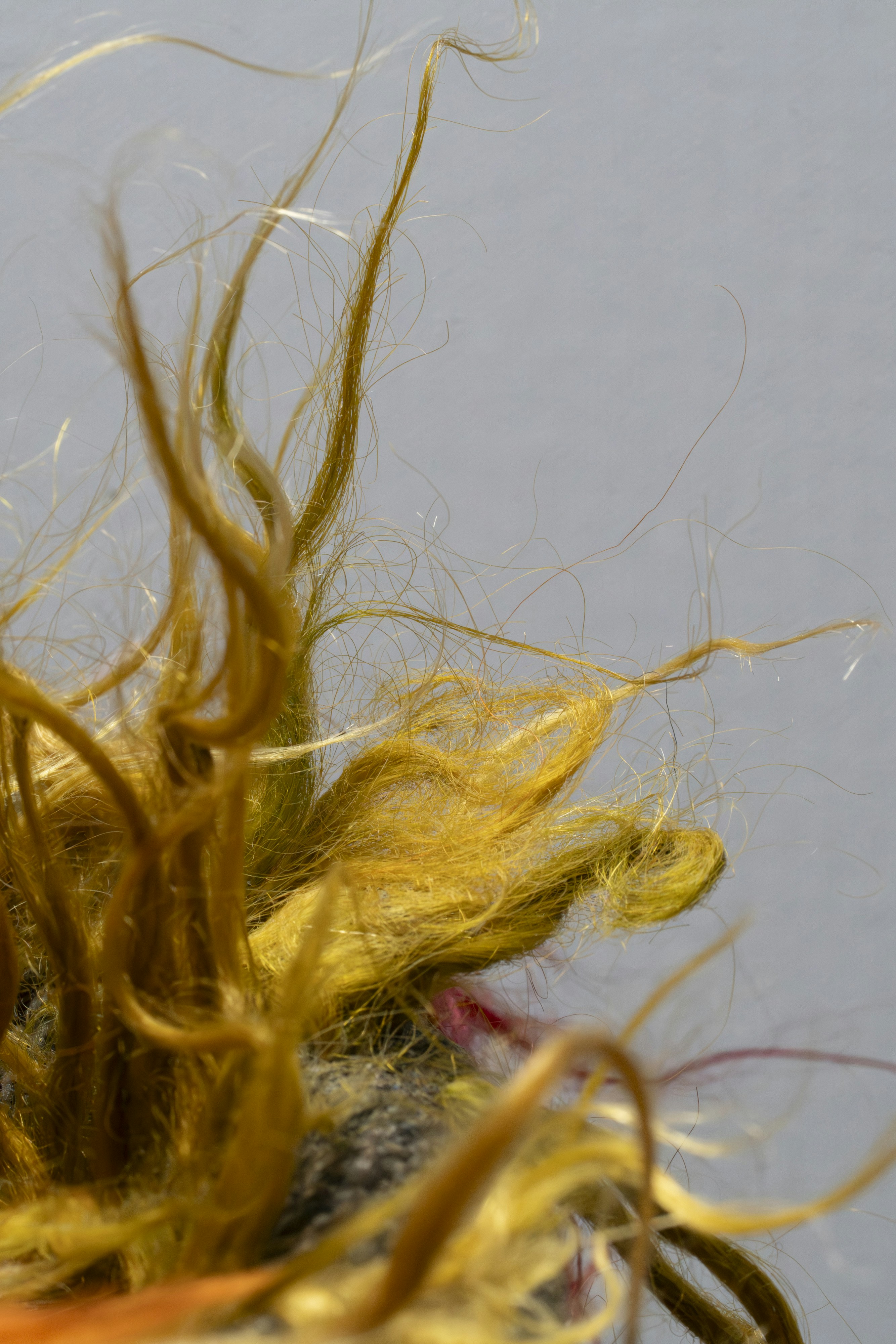 Tangled Golden Fibers: A Close-Up of Textured Strands Against Soft Gray