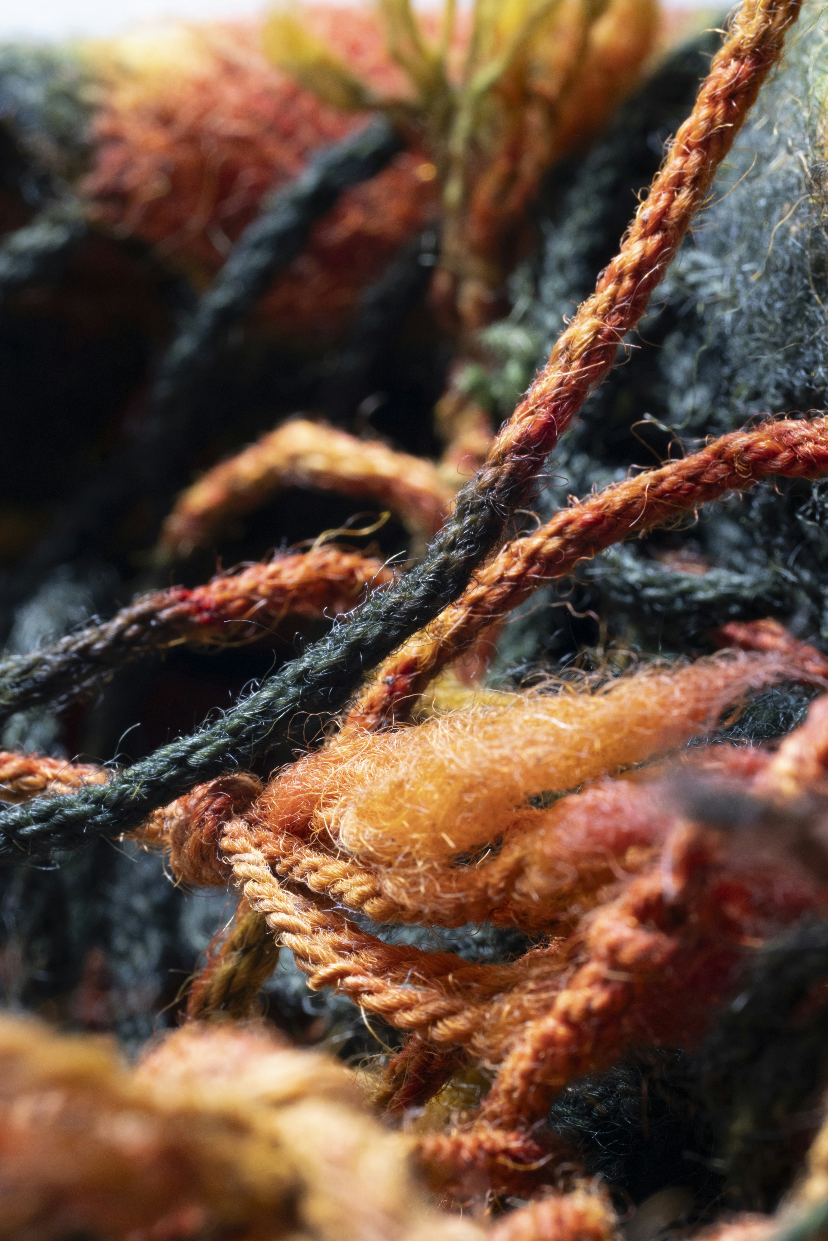Coiled Fibers in Warm Hues: A Tangle of Twine and Texture