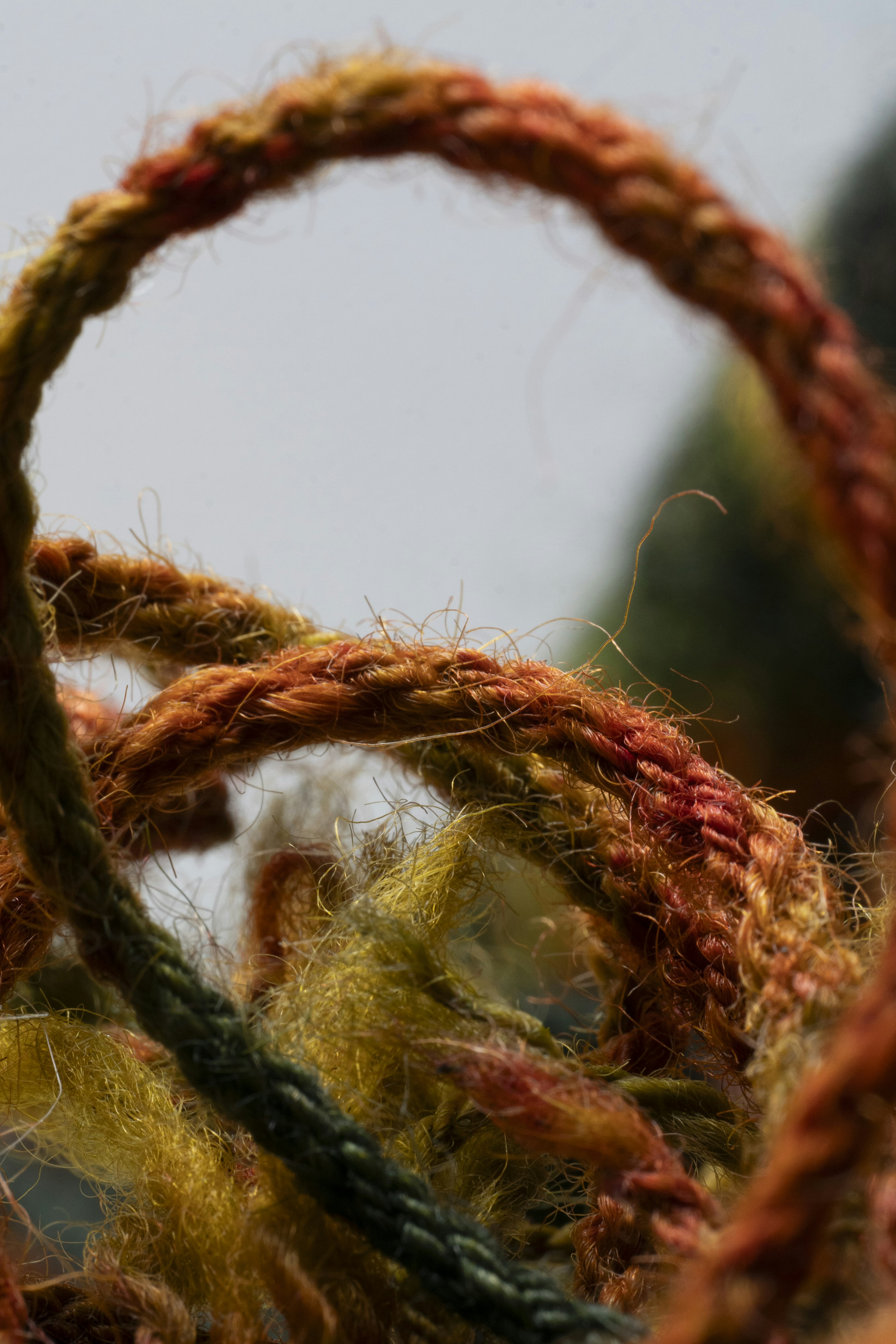 Braided Cord Cage: Tangles of Color and Fiber