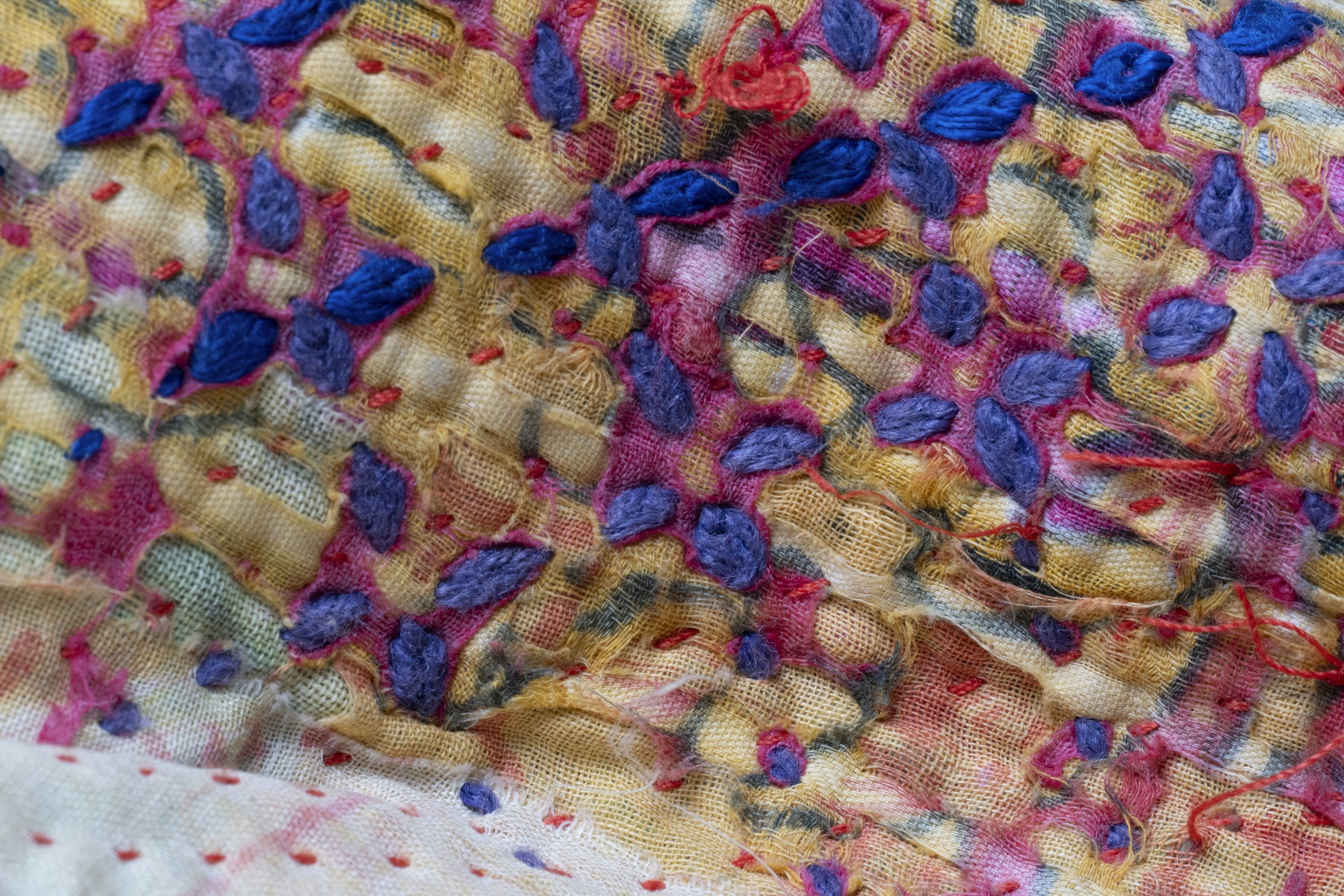 Petal Mosaic: A Tapestry of Color and Texture