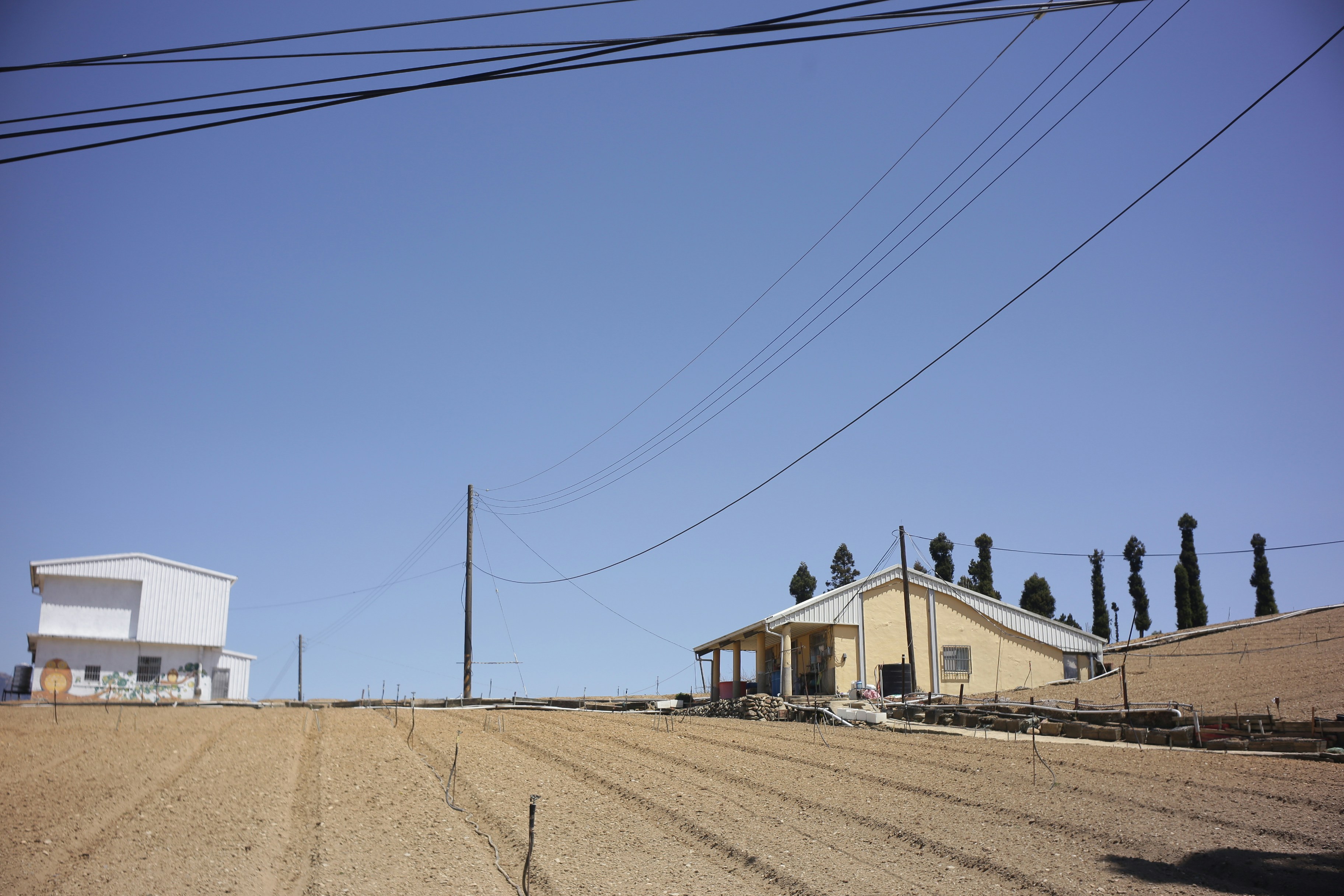 Low-Slung Farm Lane Under a Clear Blue Arc