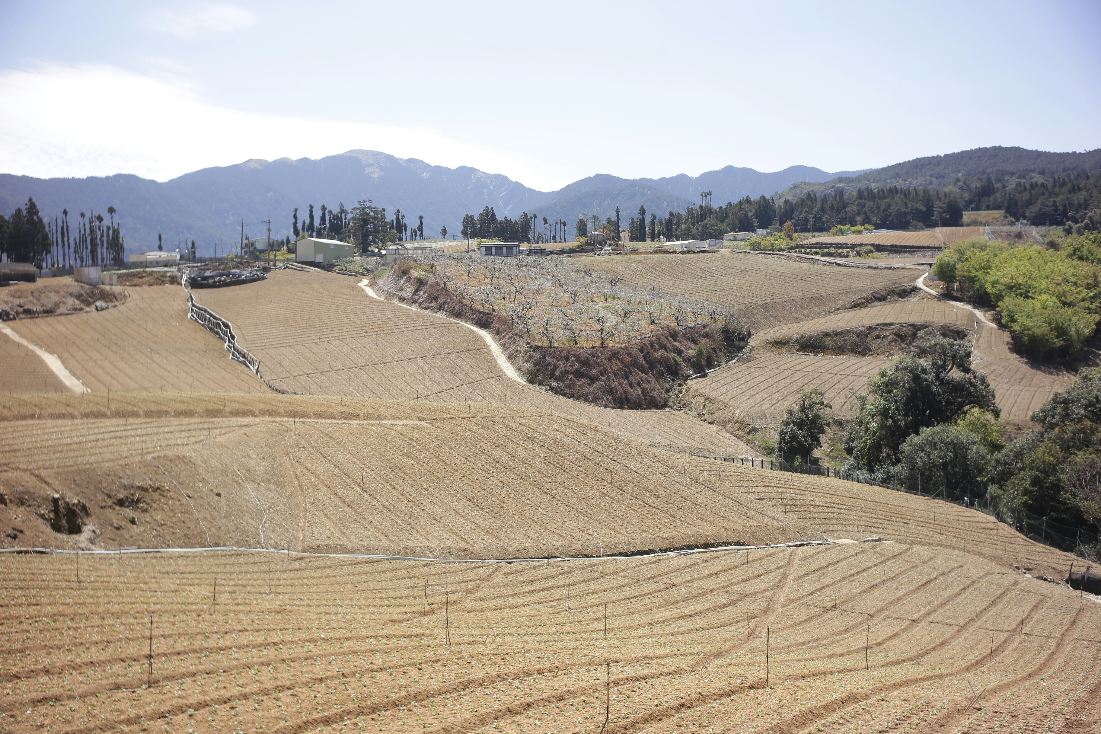 Terraced Hills under a Quiet Mountain Horizon