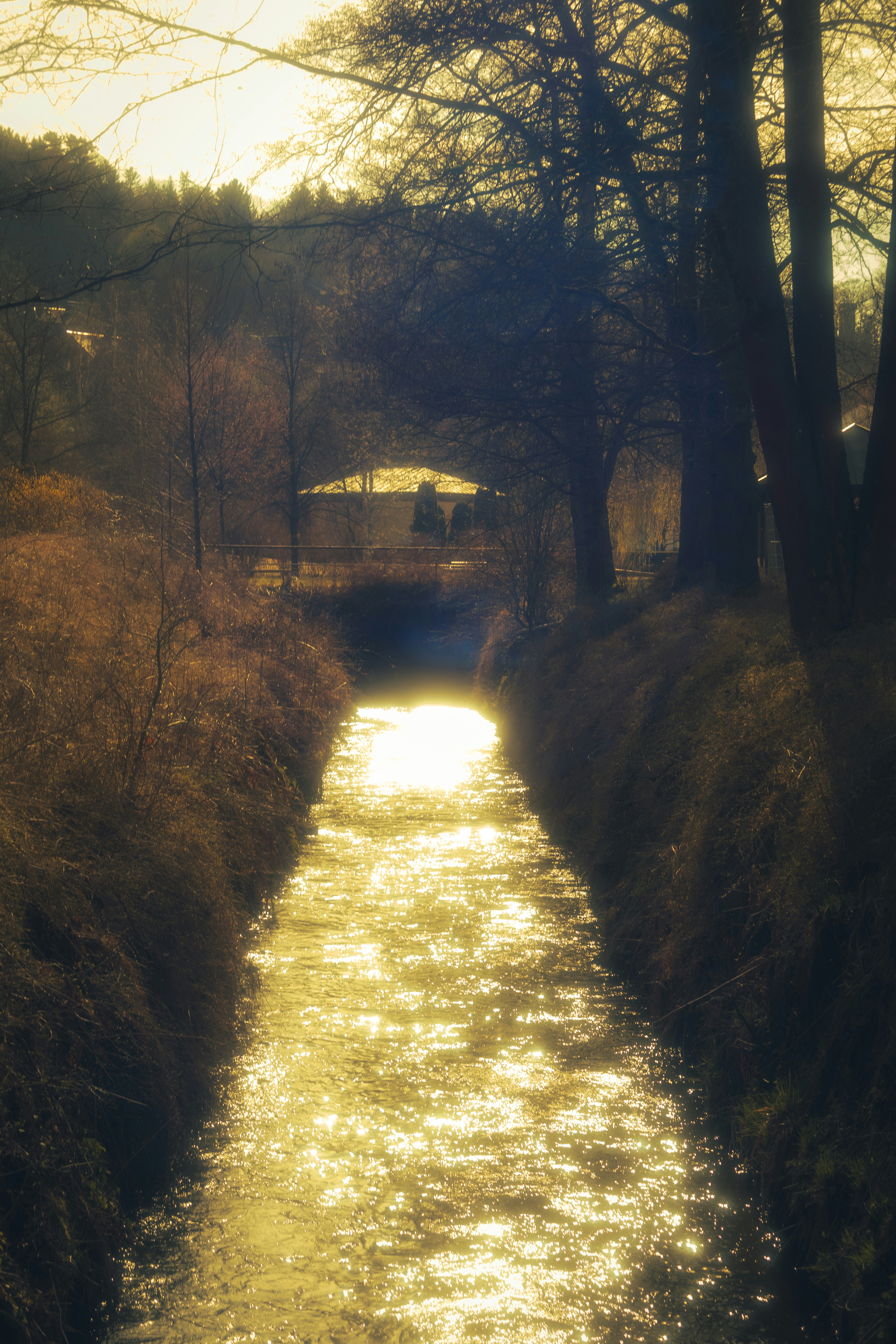 Golden Canal: Sunlit Waterway Through a Quiet Riverside Corridor