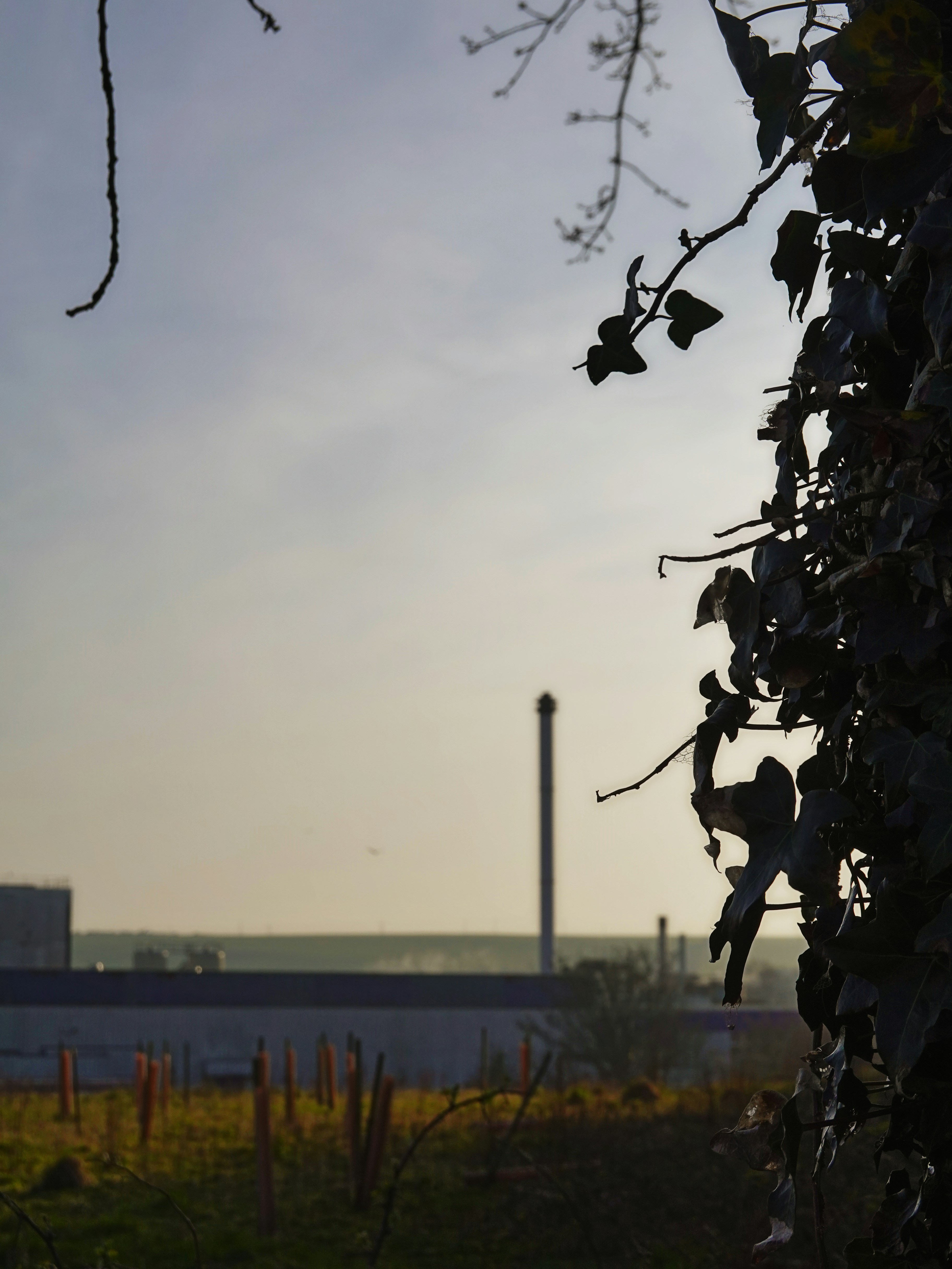 Silent Industry Overlook at Dusk