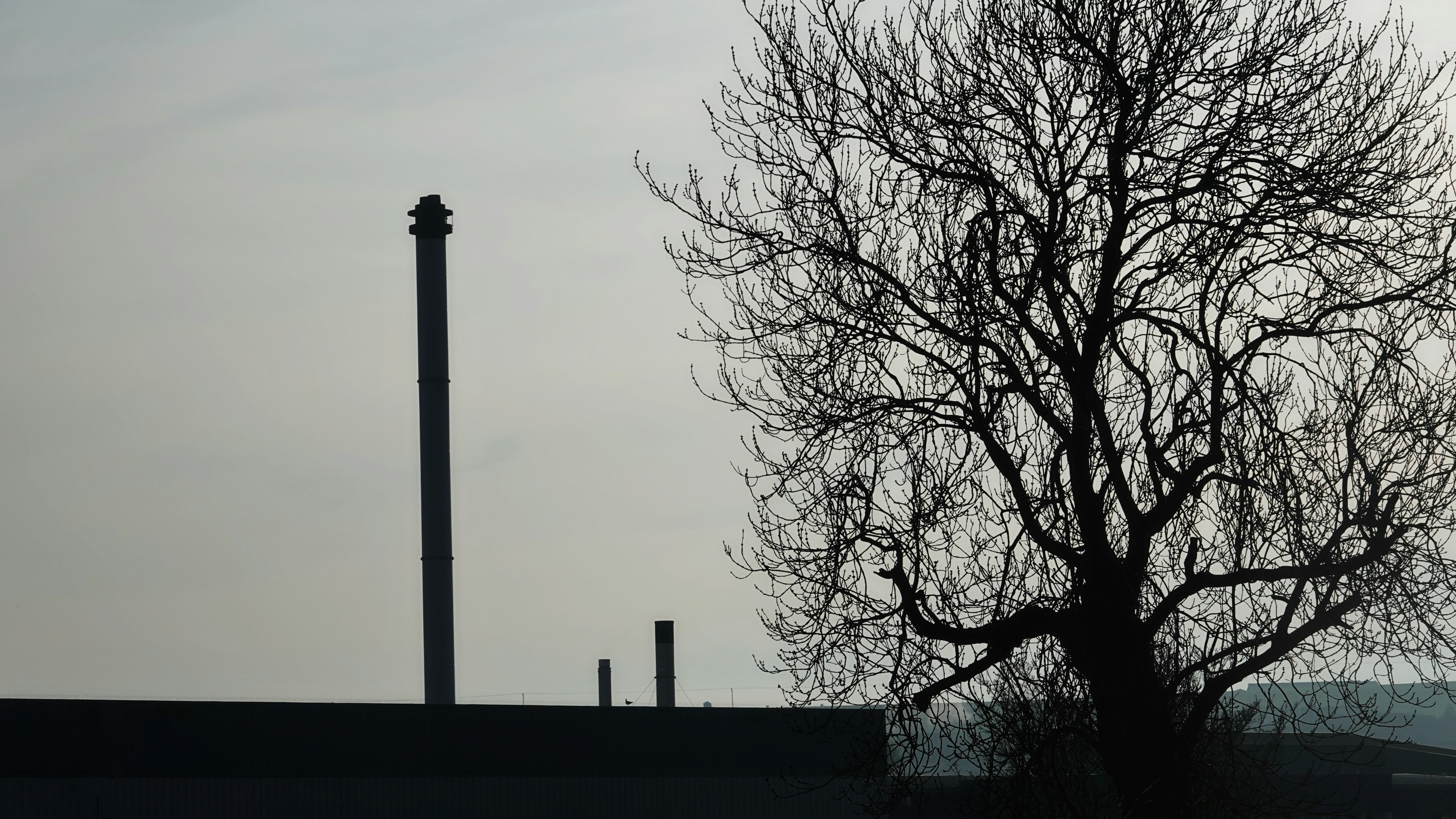 Silhouetted Tree and Chimney silhouette at Dusk Over Industrial Horizon