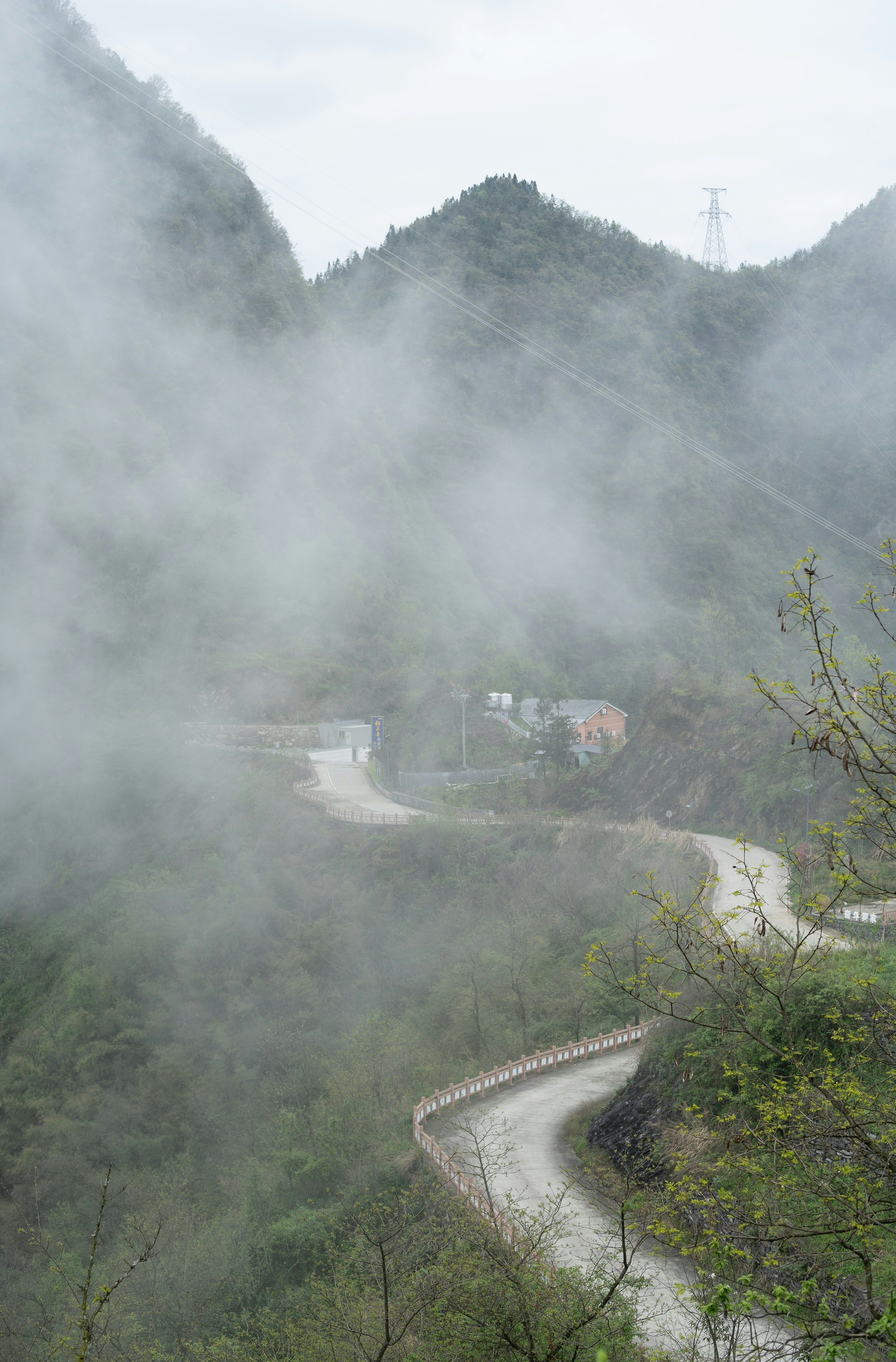 Mist-Laced Switchbacks Over a Quiet Valley Road