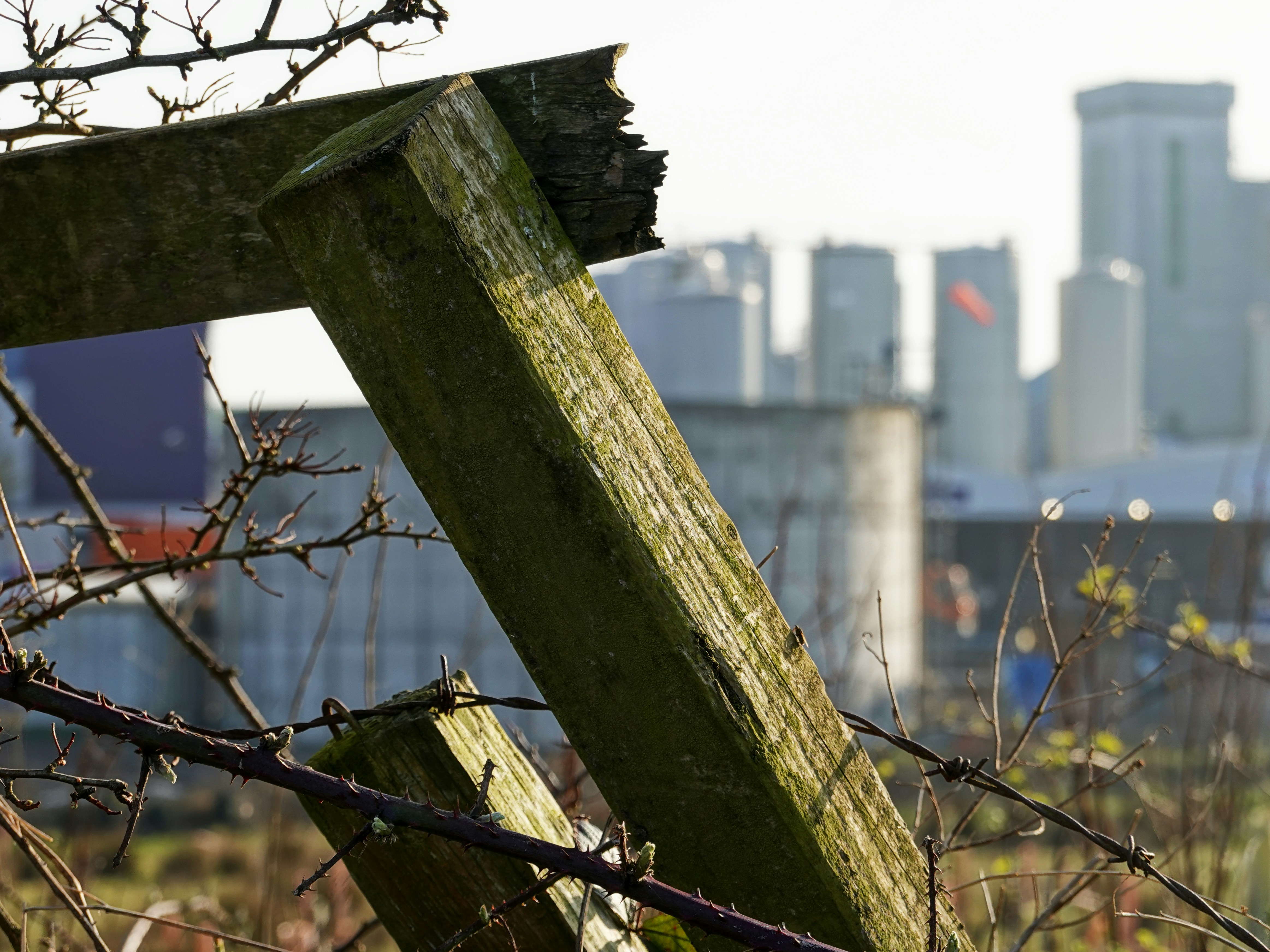 Weathered Timber in an Urban Echo