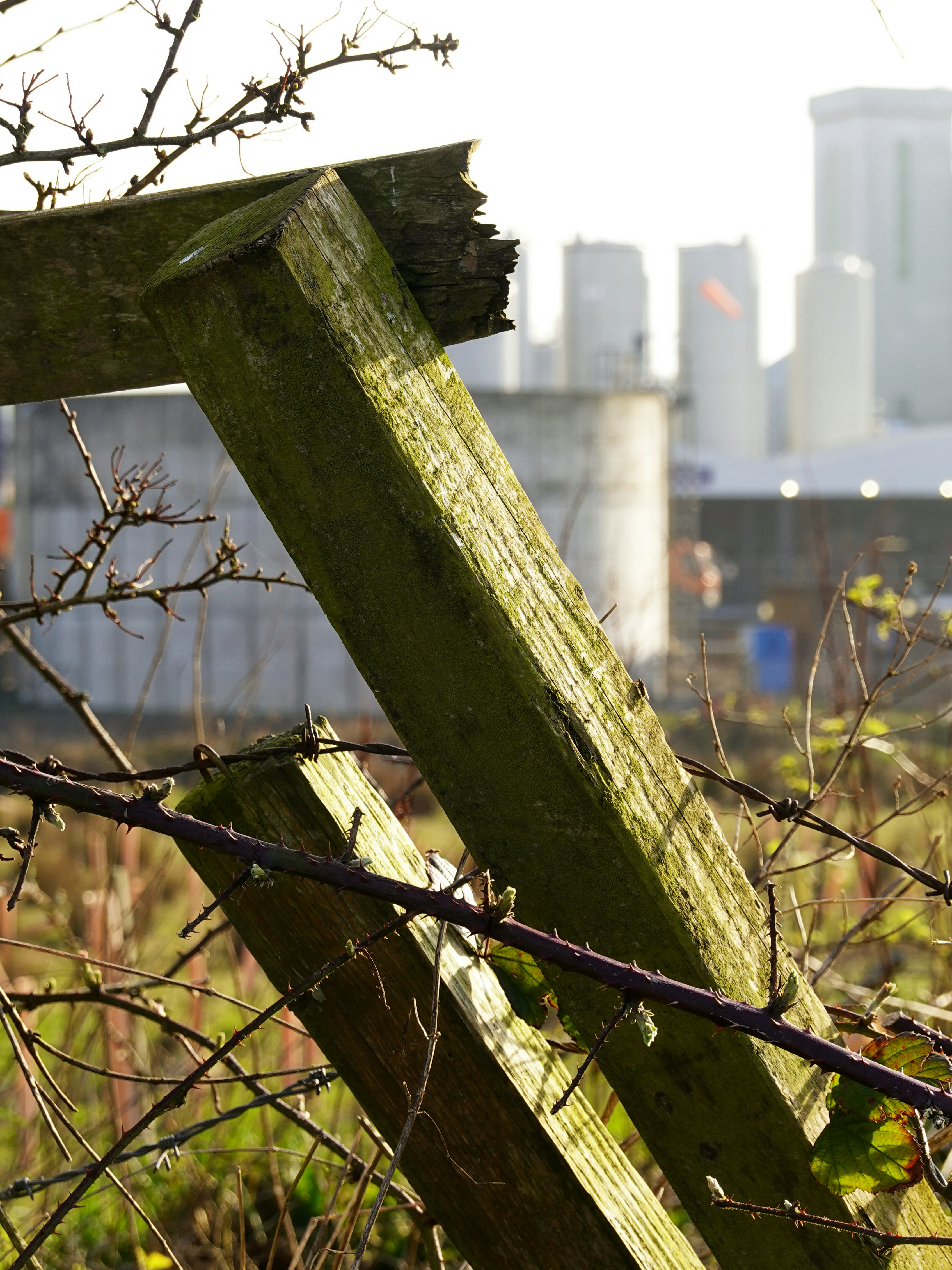 Weathered Fence Post Reaching Toward an Urban Sky