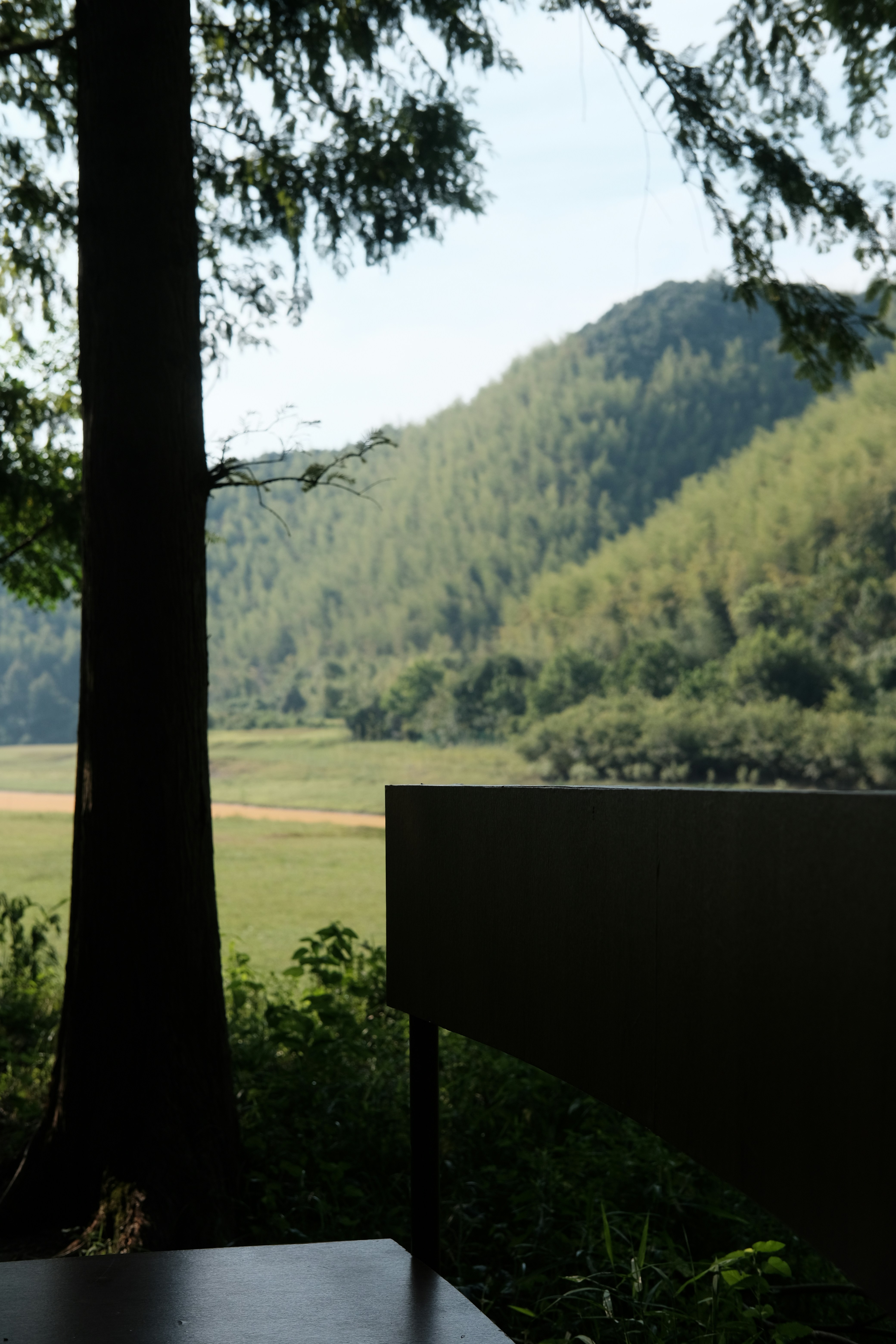 Quiet Terrace Overlook in a Forested Valley